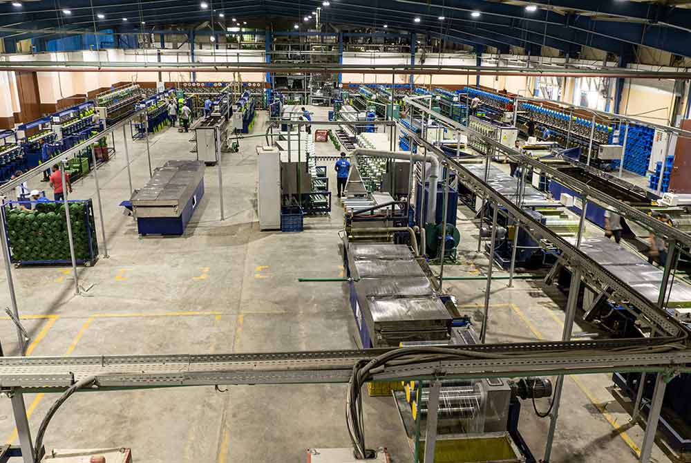 Egyptian Factory - JIANGSU VIVATURF CO., LIMITED