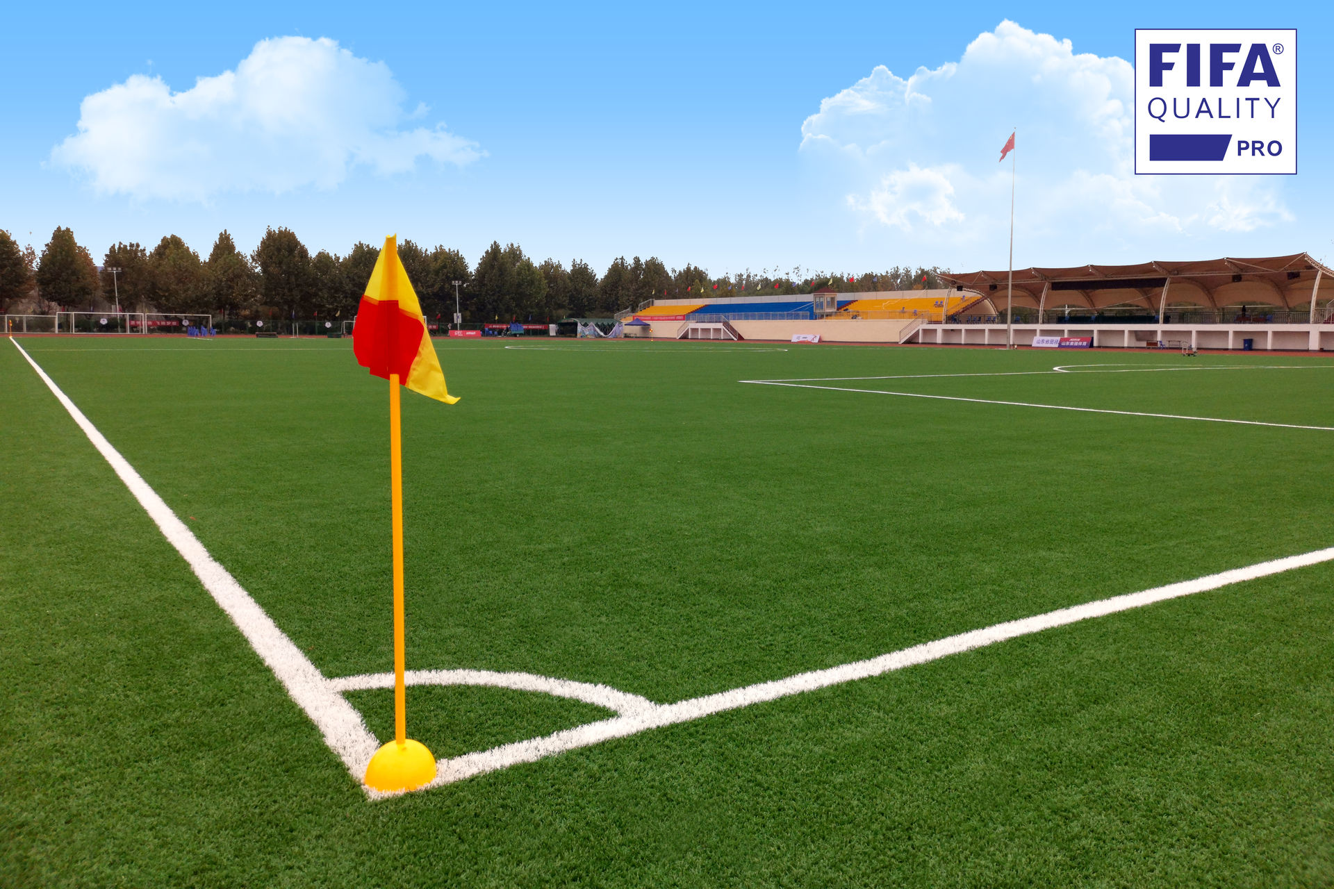 VIVATURF | What is FIFA certificate?