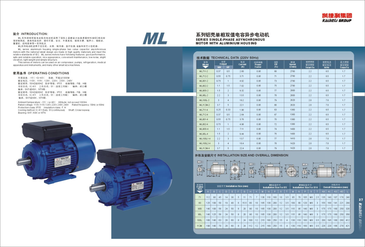 ML SERIES SINGLE-PHASE DUAL-VALUE CAPACITOR ALUMINUM SHELL MOTOR ...