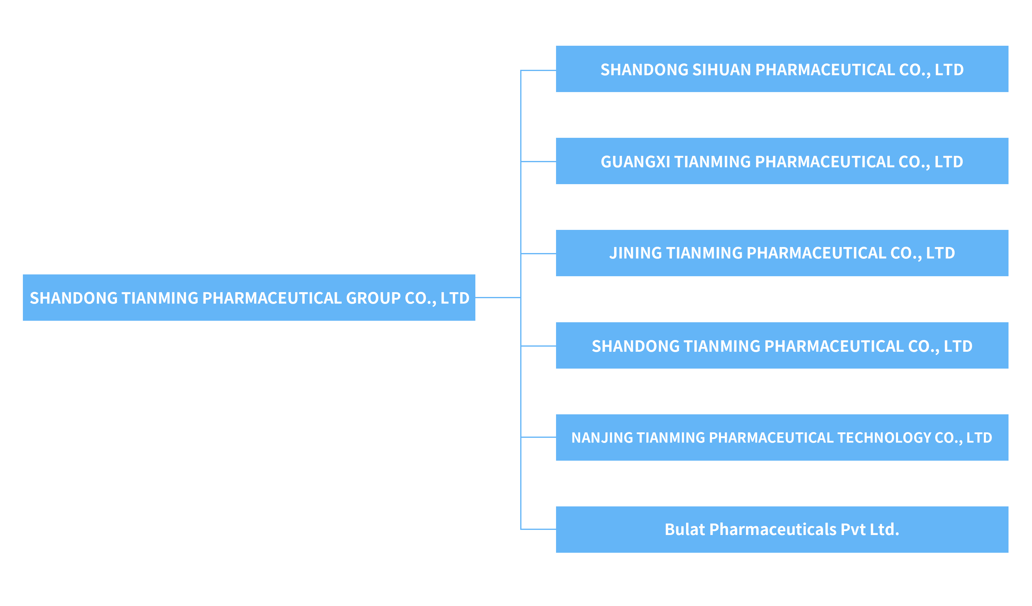 Organization Chart - Shandong Sihuan Pharmaceutical Co.,Ltd.