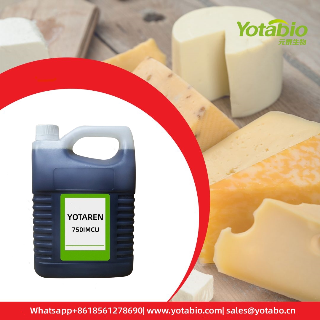 Cheese milk coagulant rennet chymosin