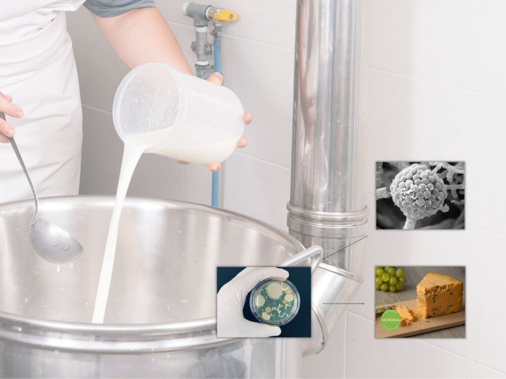 Cheese milk coagulant rennet chymosin