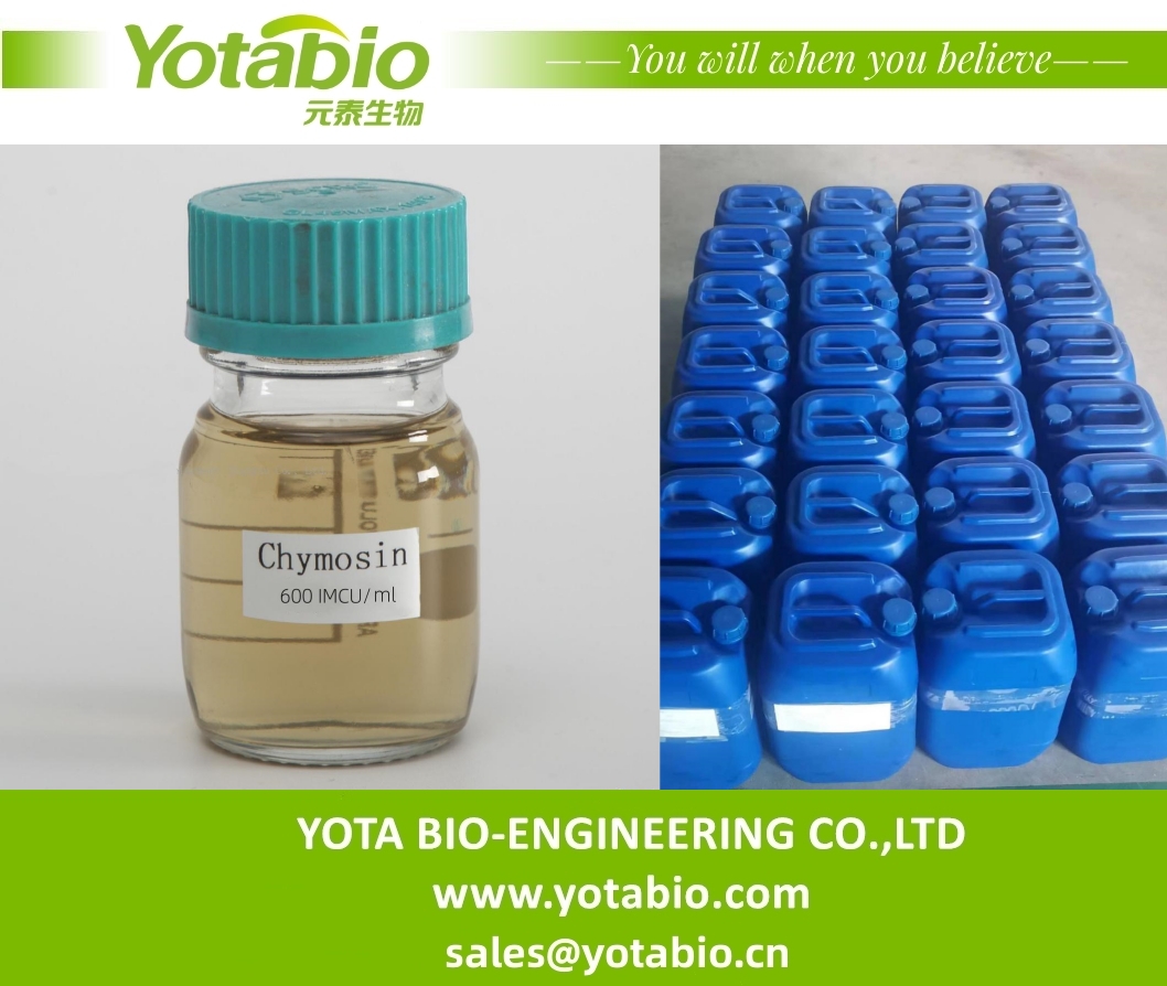 Cheese milk coagulant rennet chymosin