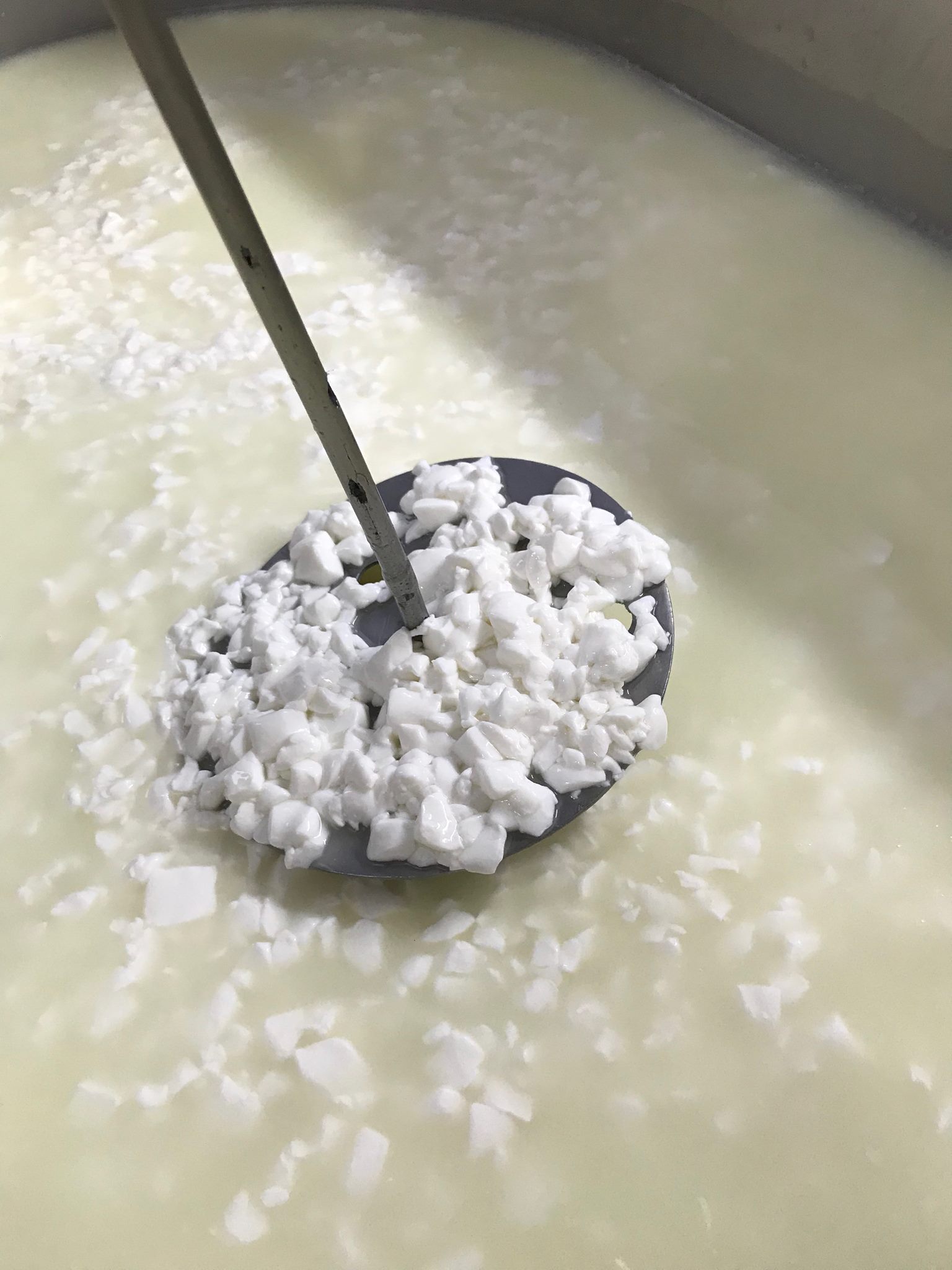 Yotaren 750 Coagulant Microbial Rennet for Cheese Production