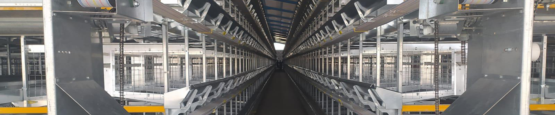 Taiyu Group Leaders - Meat Processing Equipment, Hong Kong