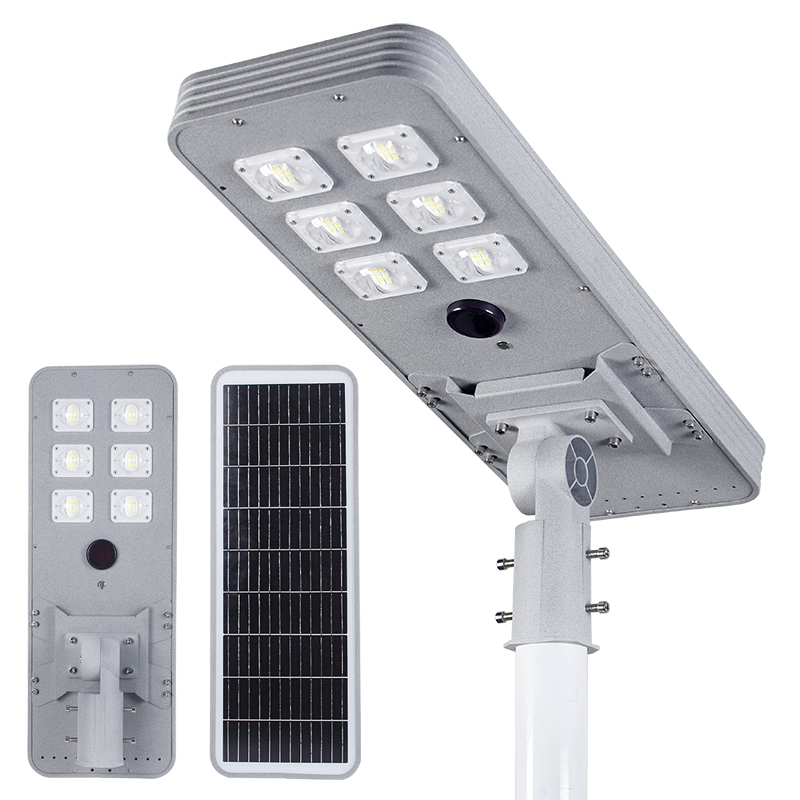 integrated solar induction street lamp