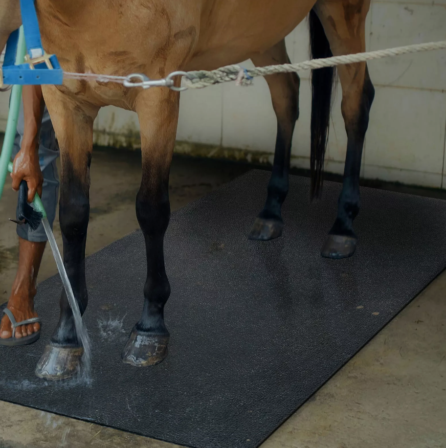 Premium Stall Mats for Optimal Horse Comfort, Safety & Protection