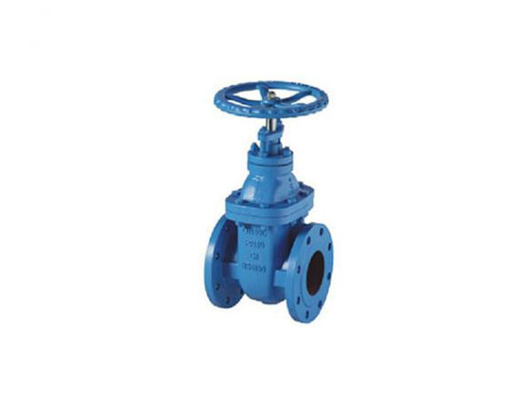 BS5150 PN10 NRS Cast Iron Gate Valve