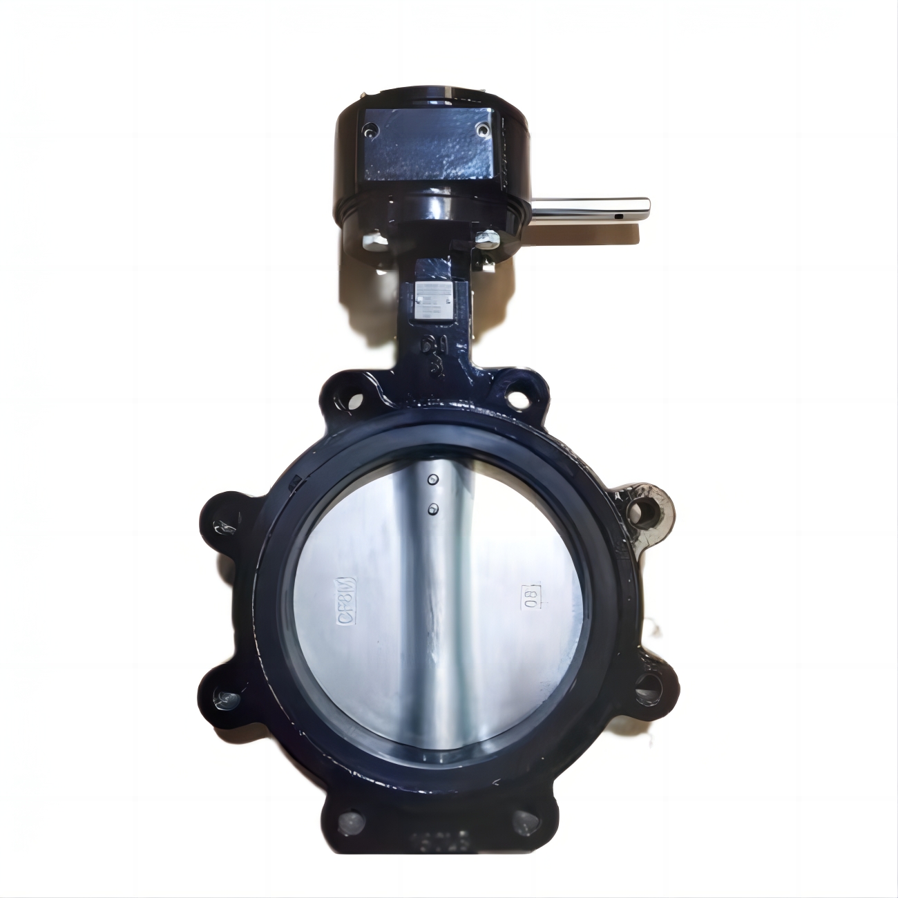 EN593 PN10/PN16/PN25/Class 125/LUG Type Butterfly Valve With PINS