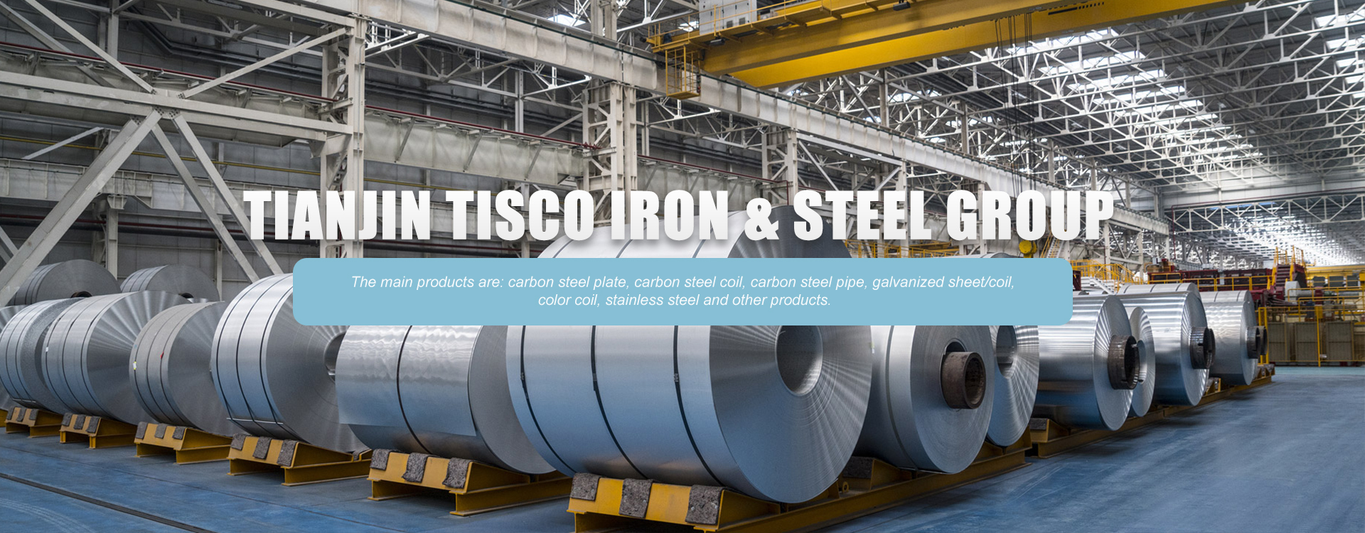 Tianjin Tisco Iron & Steel Group Co., Ltd.