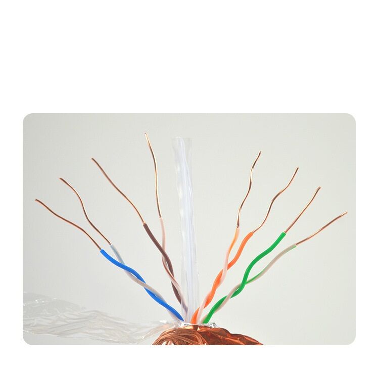 Ethernet Patching Cord Rj45 Shielded Cat6 Ethernet Cable