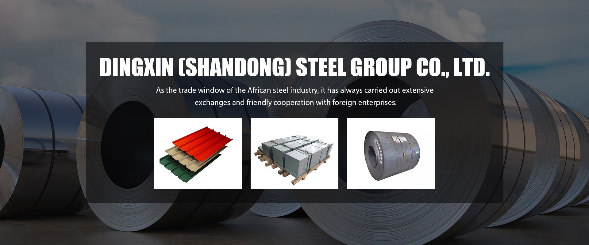 Dingxin Steel Group Co., Ltd.