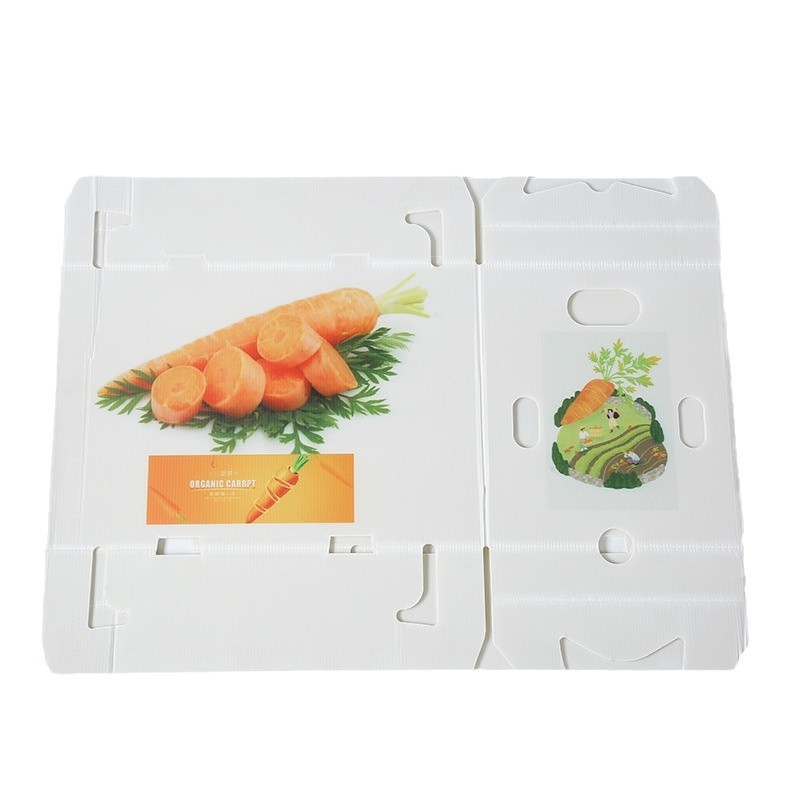 Custom Coroplast Boxes for Fruits & Vegetables