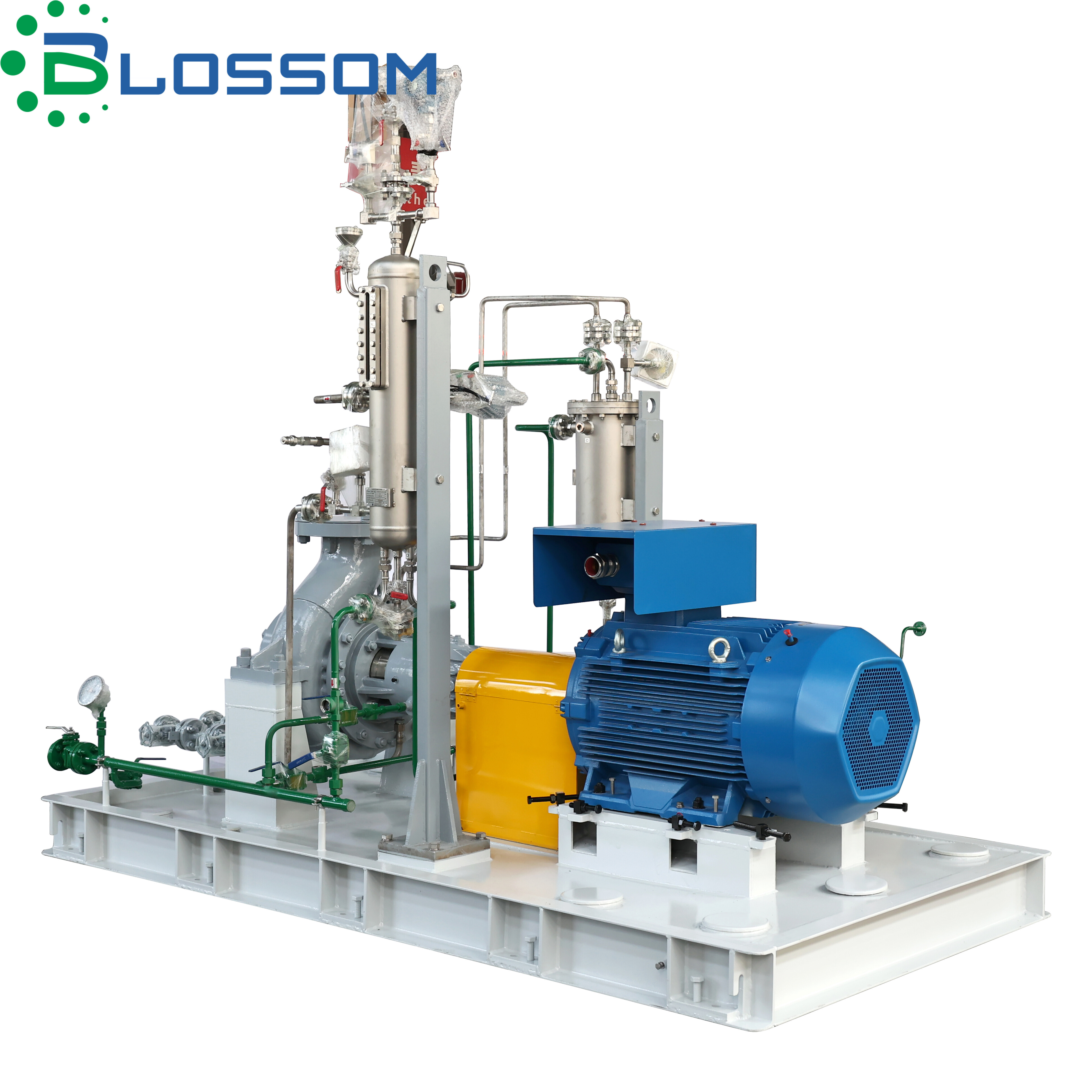 API 610 OH2 PUMP-Shandong BLOSSOM Pump Industry Co., Ltd.