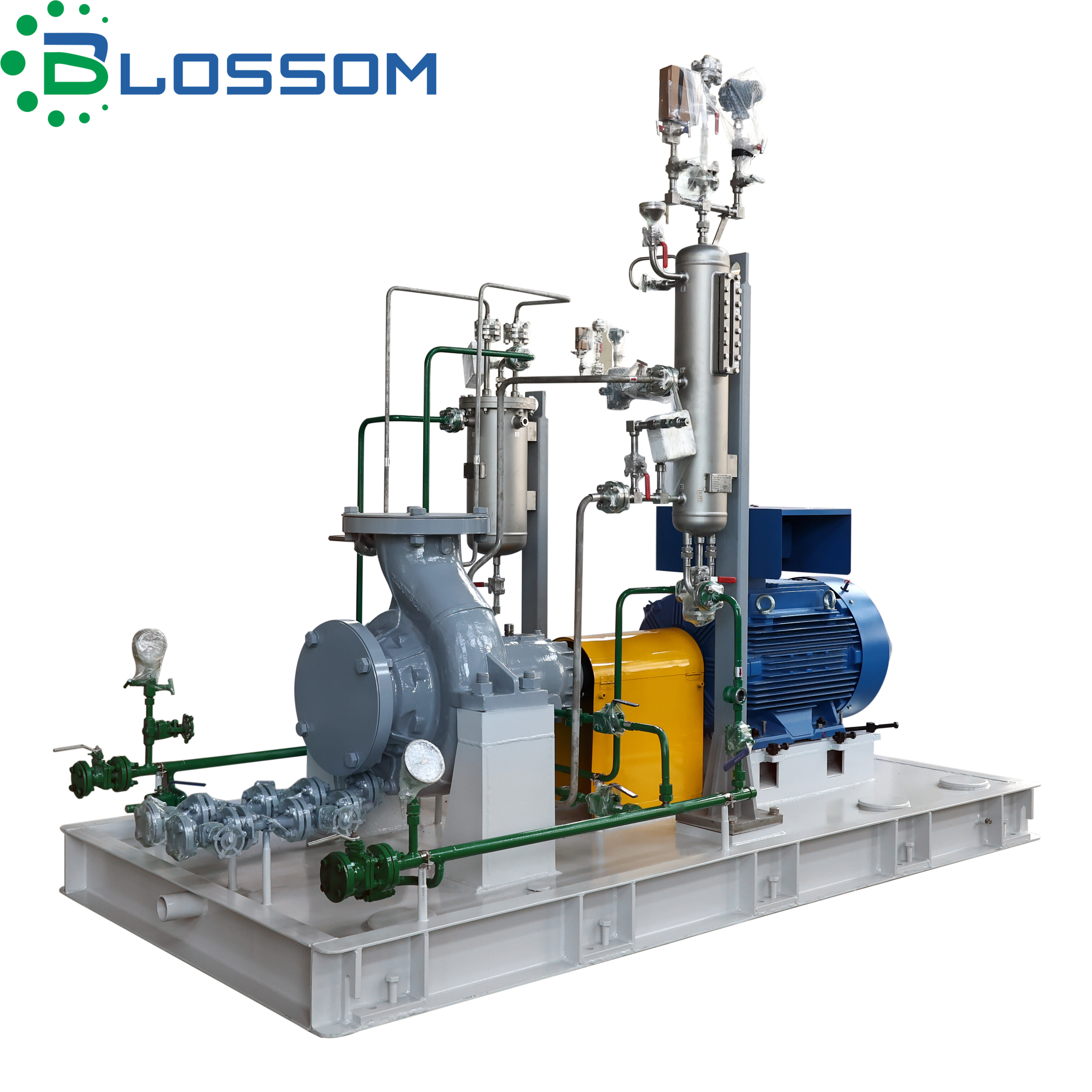 API 610 BB5 PUMP-Shandong BLOSSOM Pump Industry Co., Ltd.
