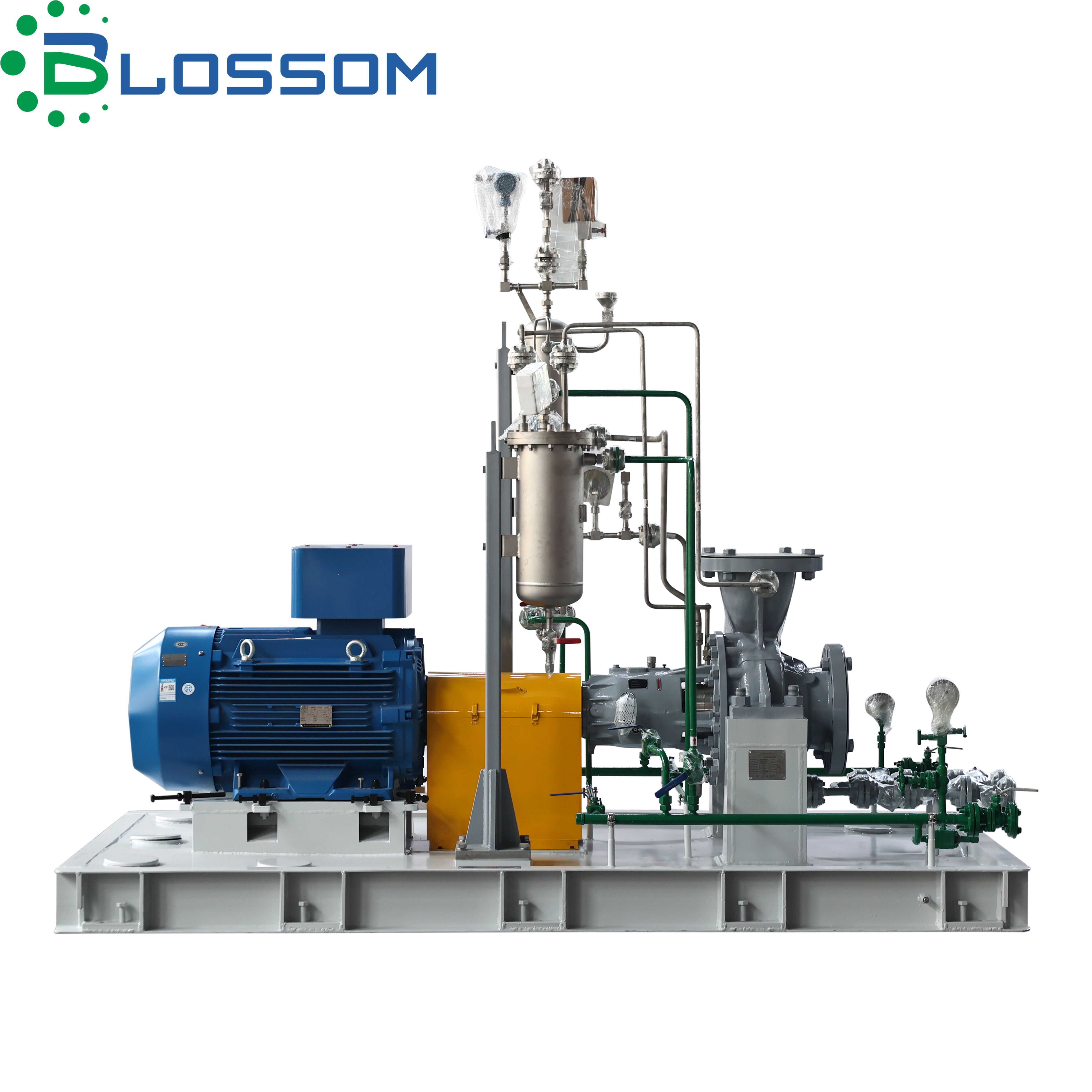 API 610 OH2 PUMP-Shandong BLOSSOM Pump Industry Co., Ltd.