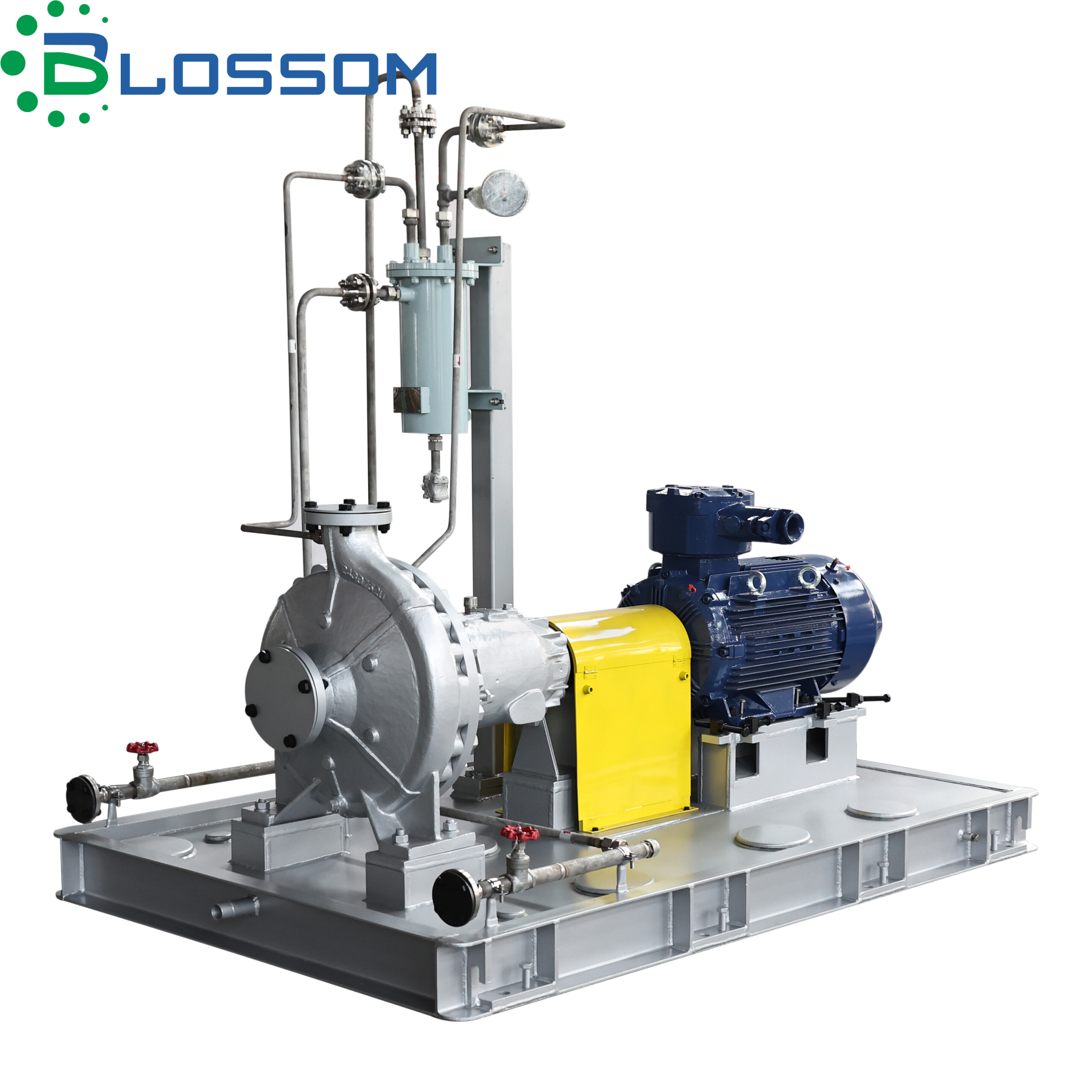 API 610 BB5 PUMP-Shandong BLOSSOM Pump Industry Co., Ltd.