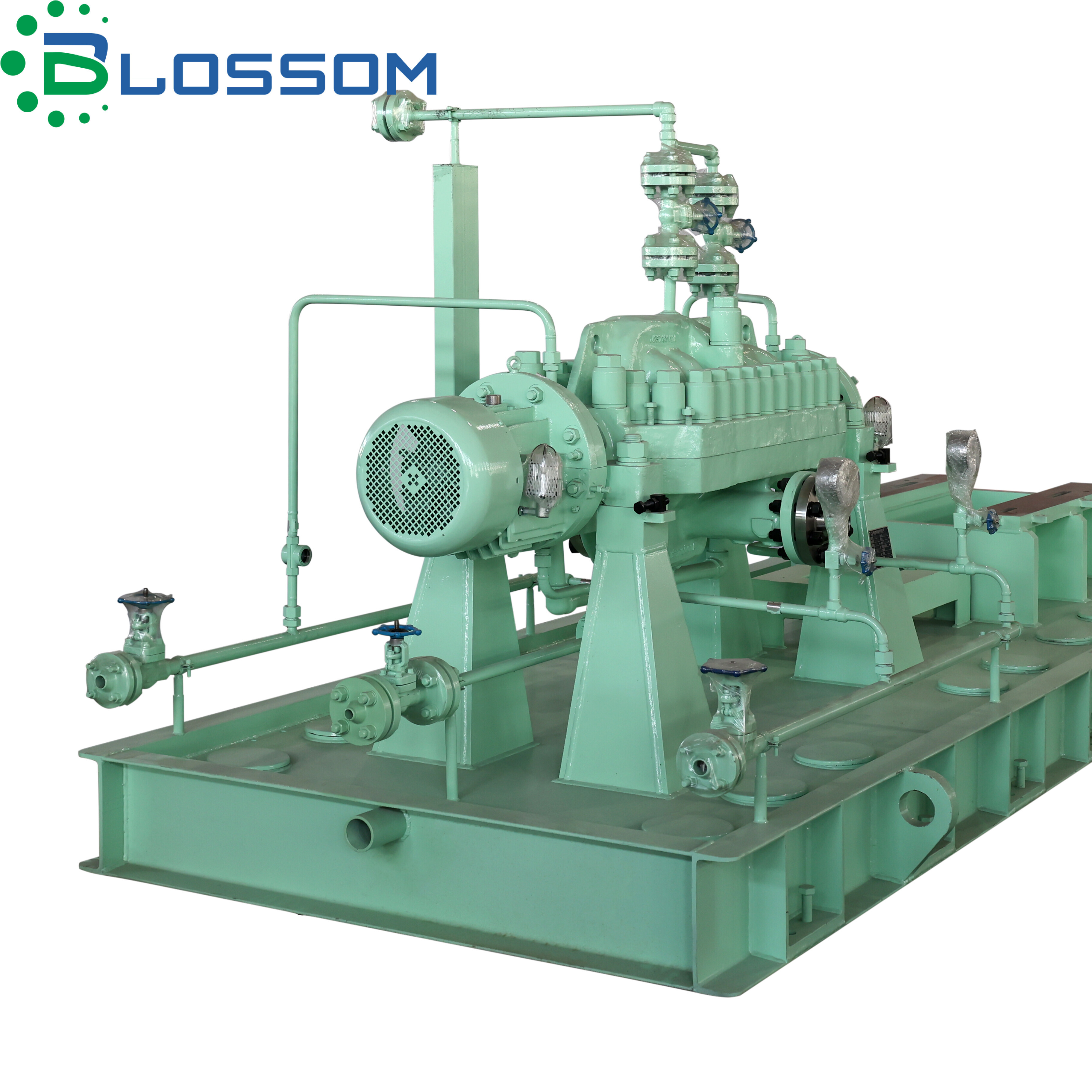 API 610 BB3 PUMP-Shandong BLOSSOM Pump Industry Co., Ltd.