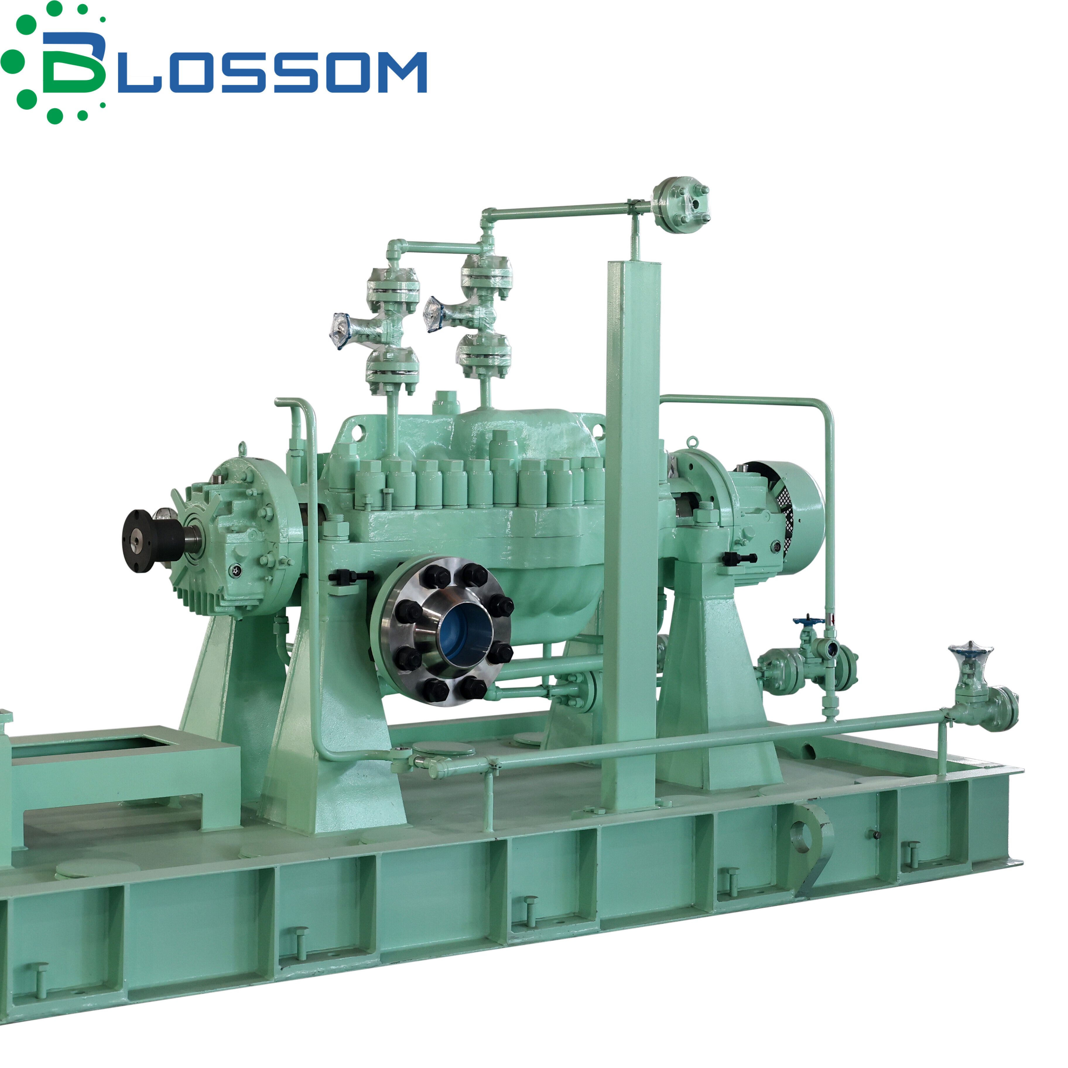 API 610 BB3 PUMP-Shandong BLOSSOM Pump Industry Co., Ltd.