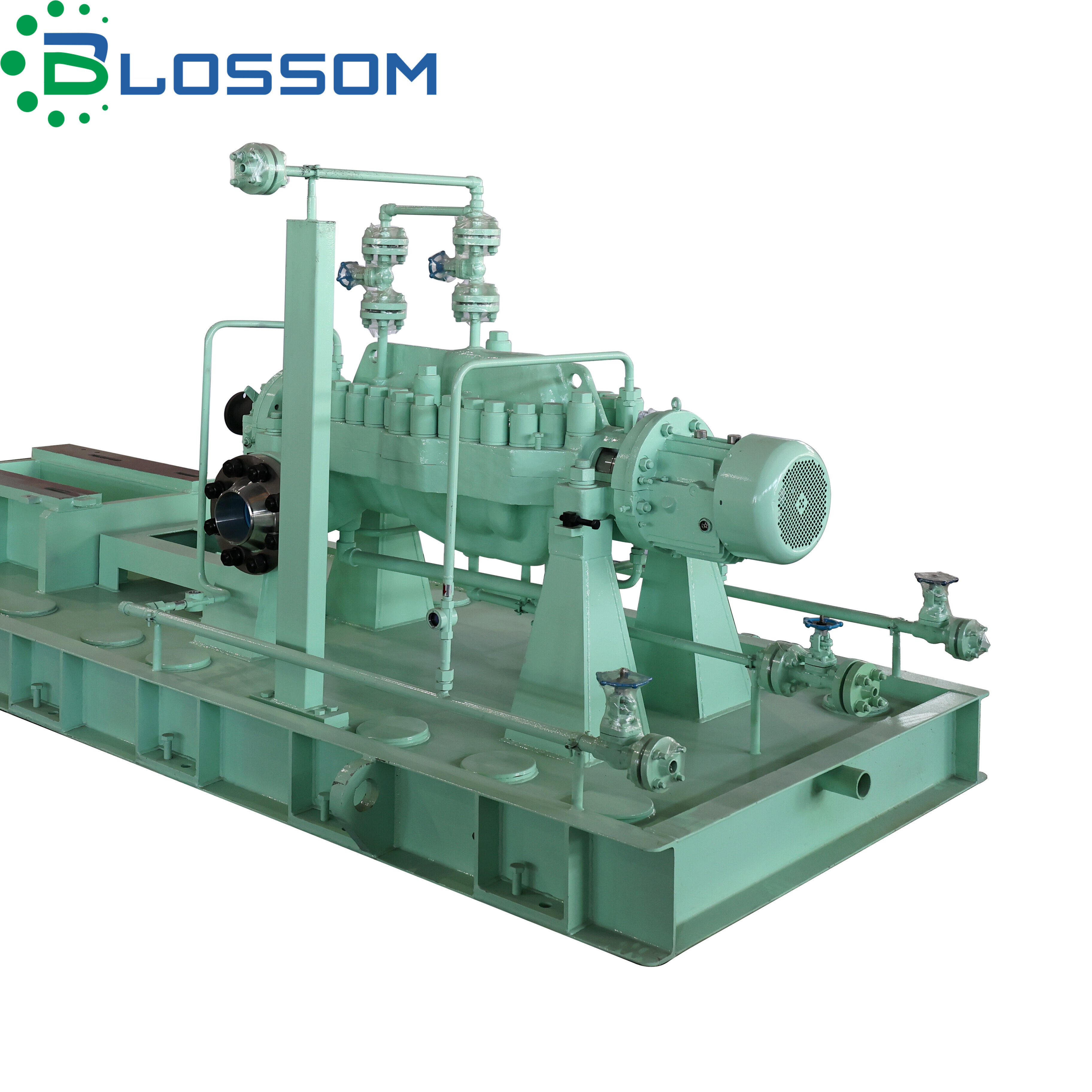 API 610 BB2 PUMP-Shandong BLOSSOM Pump Industry Co., Ltd.