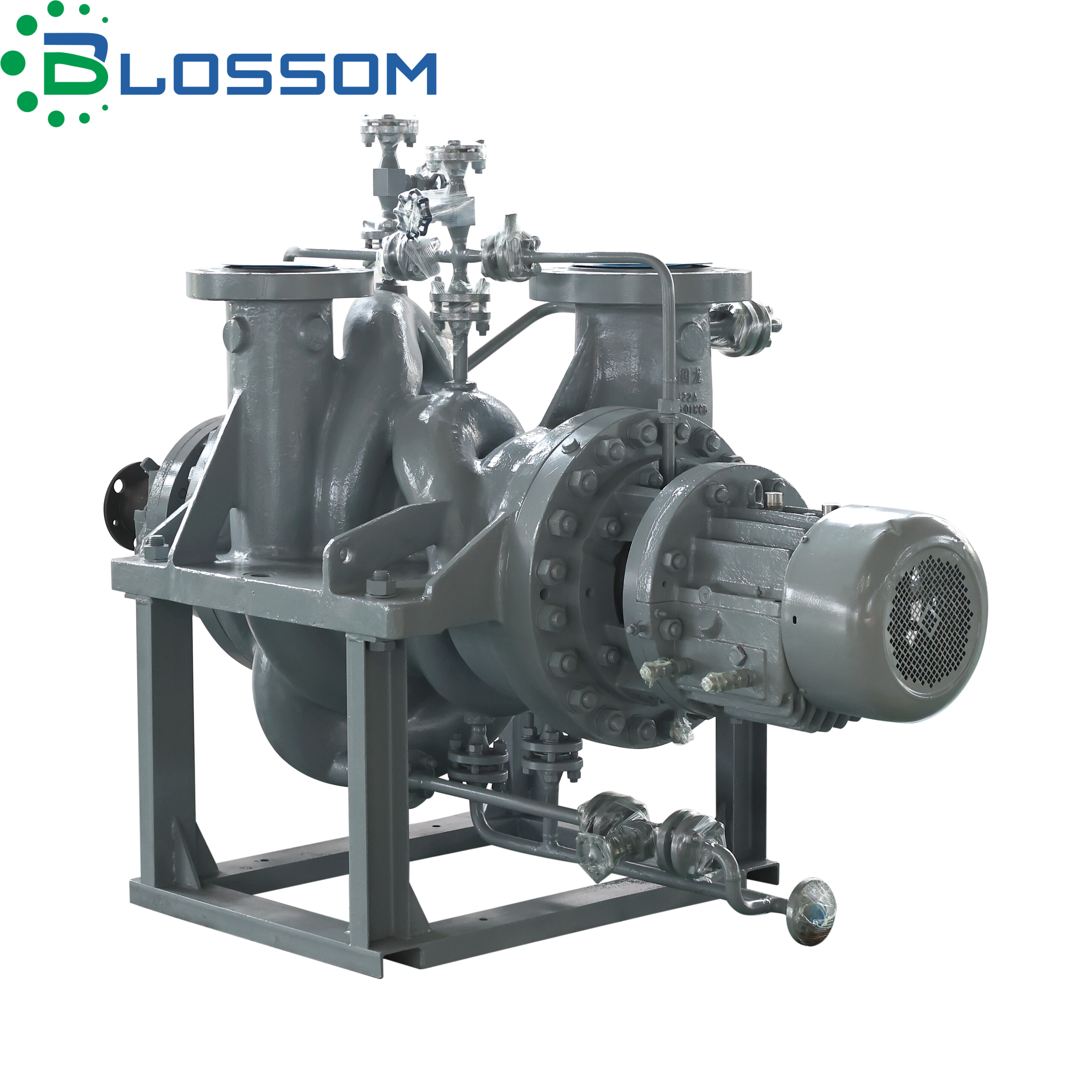 API 610 BB2 PUMP-Shandong BLOSSOM Pump Industry Co., Ltd.