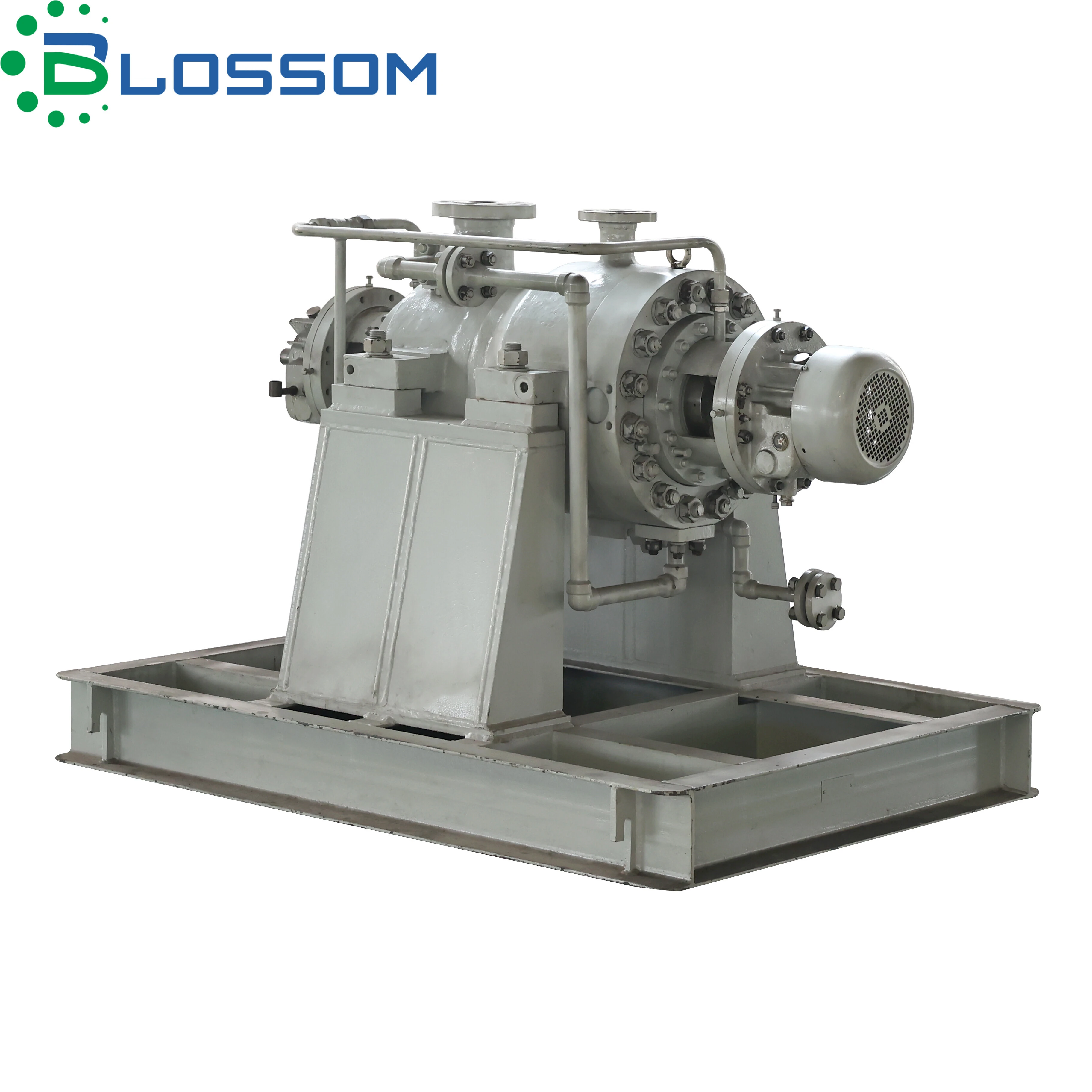 API 610 BB5 PUMP-Shandong BLOSSOM Pump Industry Co., Ltd.