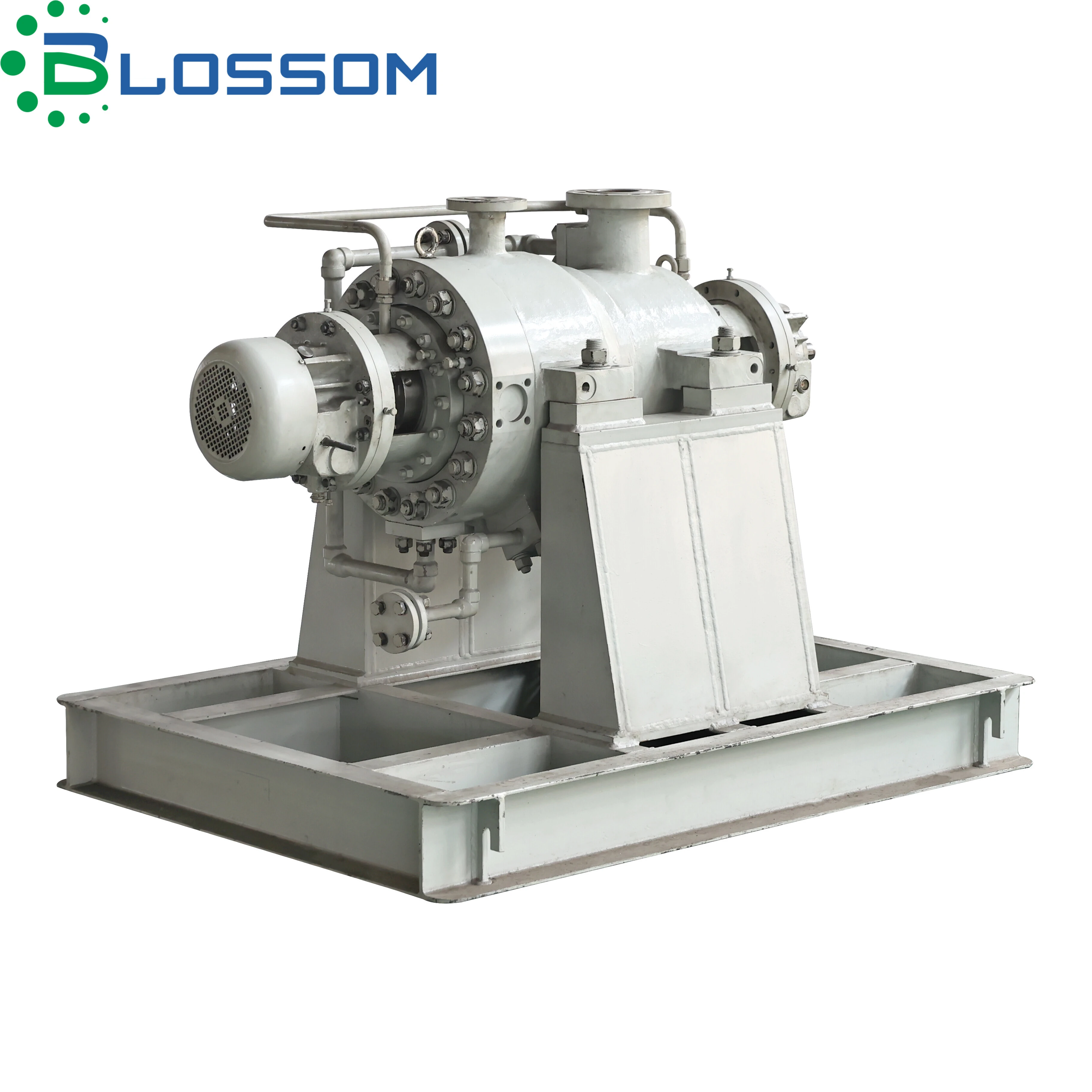 API 610 BB5 PUMP-Shandong BLOSSOM Pump Industry Co., Ltd.