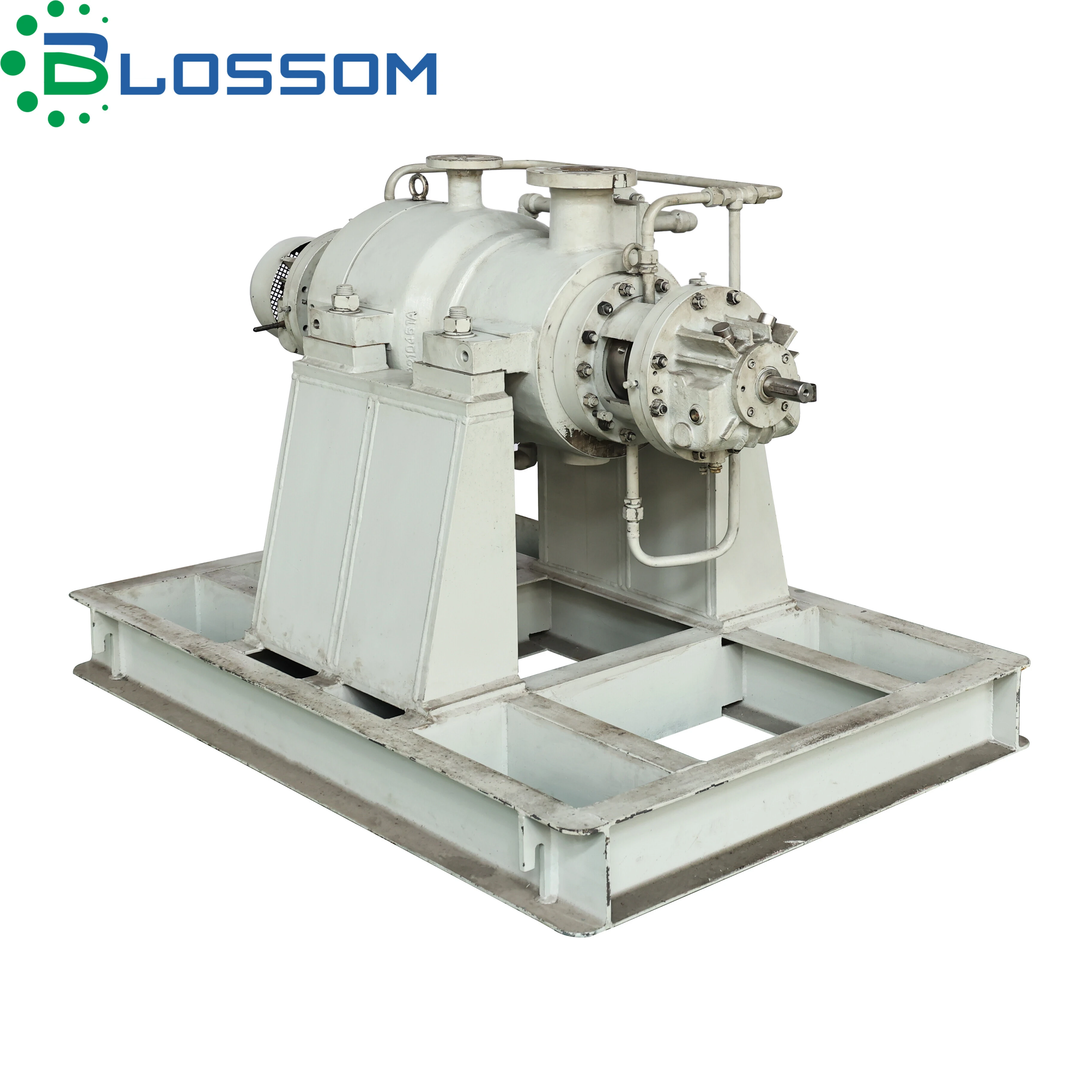 API 610 BB5 PUMP-Shandong BLOSSOM Pump Industry Co., Ltd.