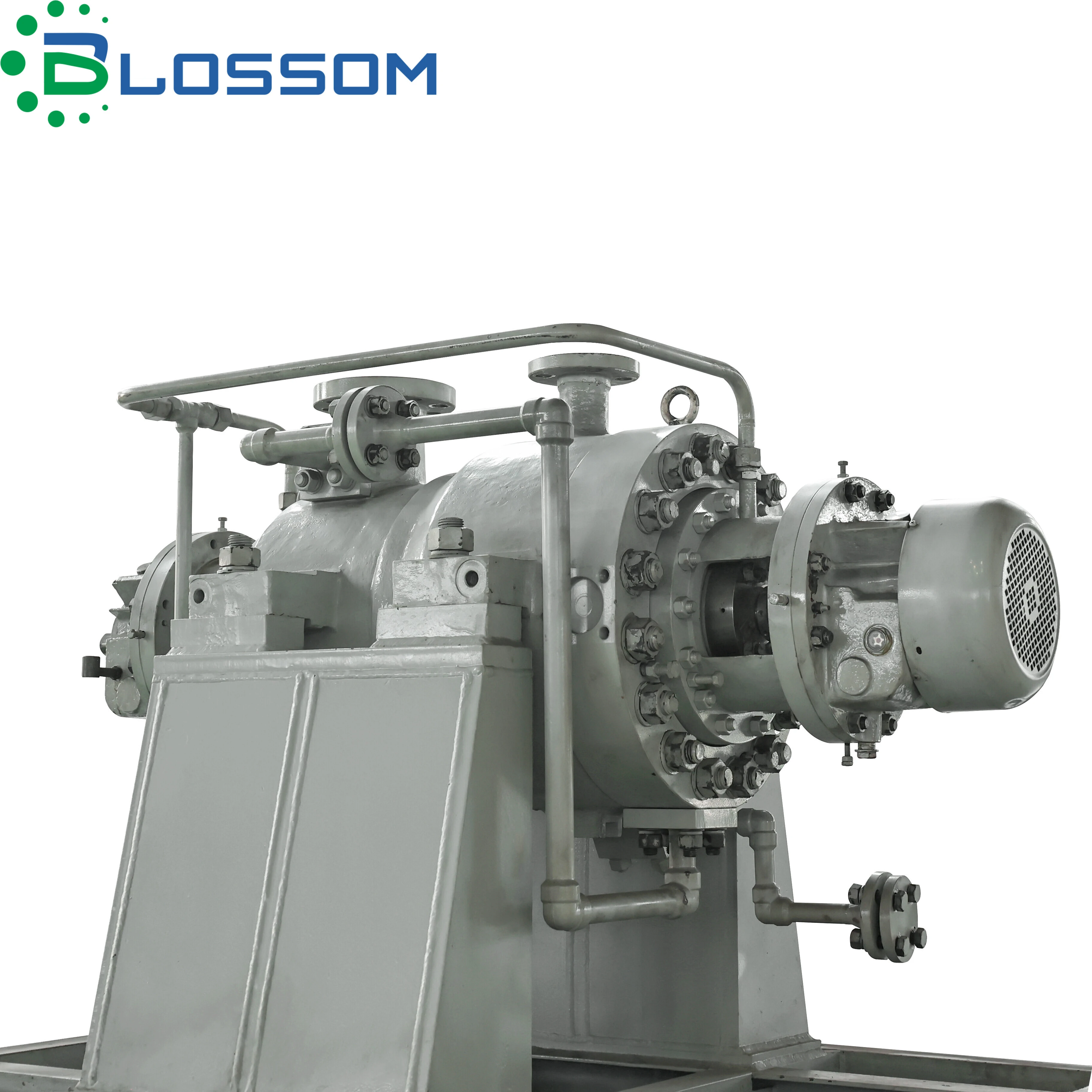 API 610 BB5 PUMP-Shandong BLOSSOM Pump Industry Co., Ltd.