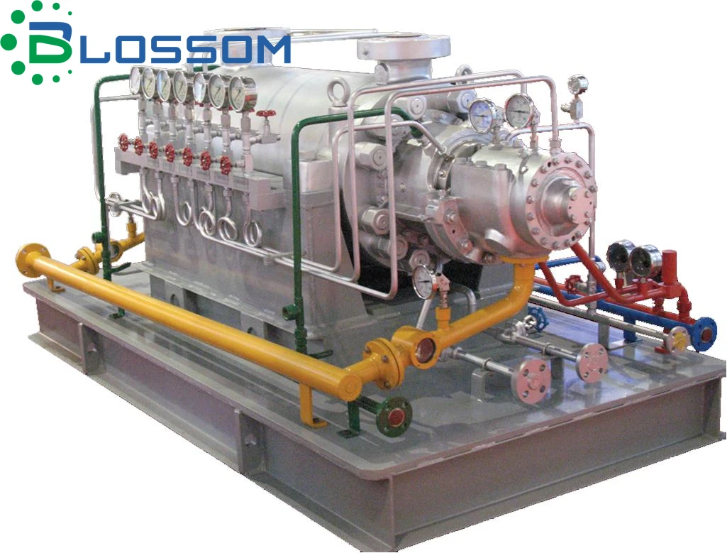 API 610 BB4 PUMP-Shandong BLOSSOM Pump Industry Co., Ltd.