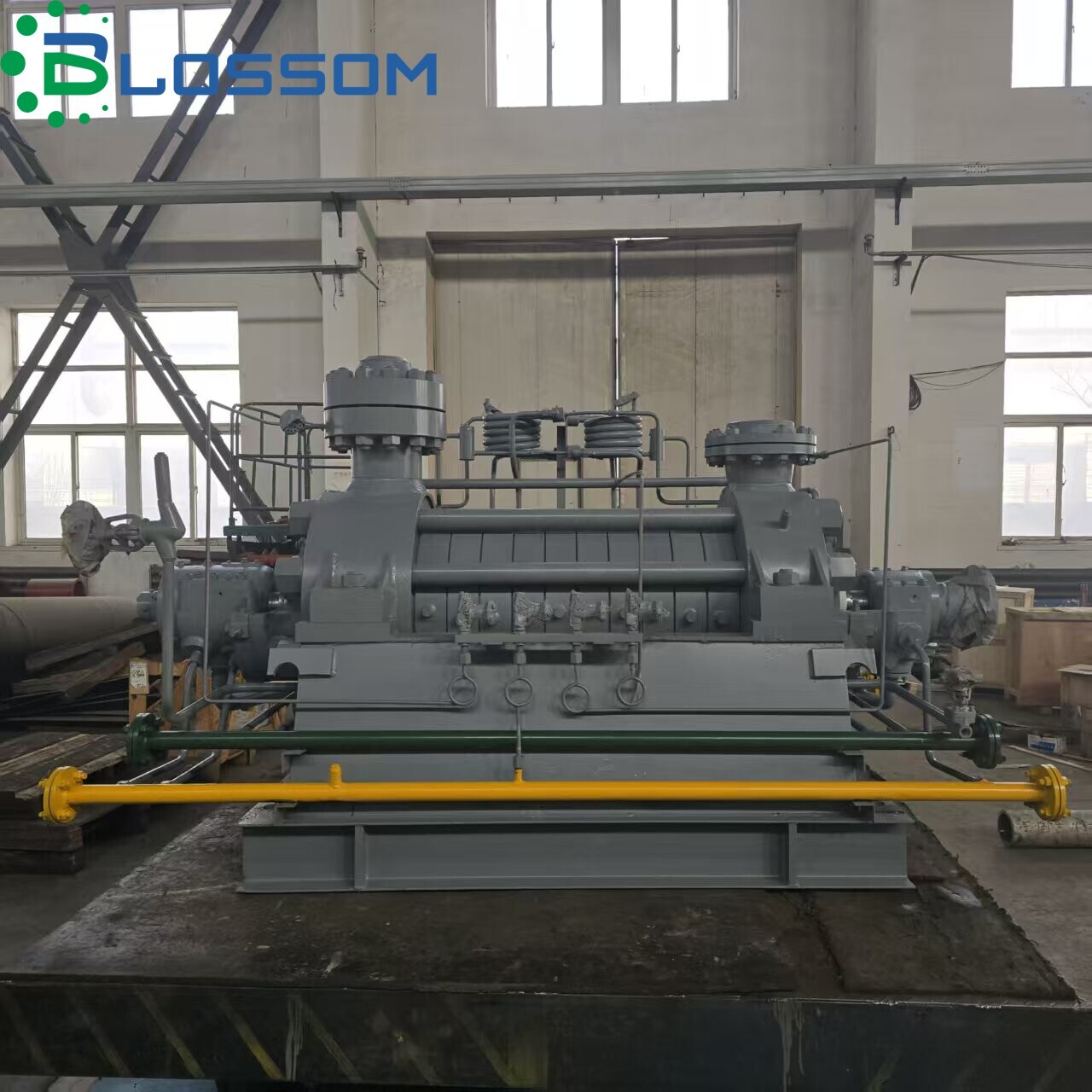 API 610 BB4 PUMP-Shandong BLOSSOM Pump Industry Co., Ltd.