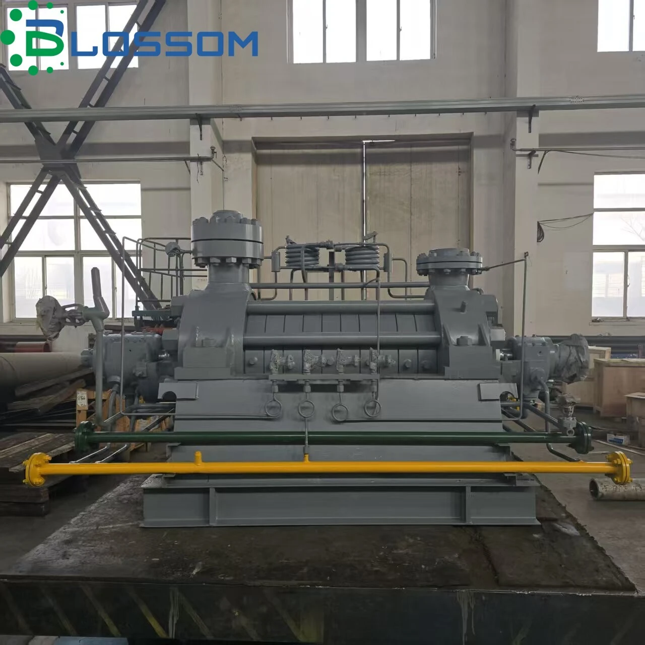 API 610 BB4 PUMP-Shandong BLOSSOM Pump Industry Co., Ltd.