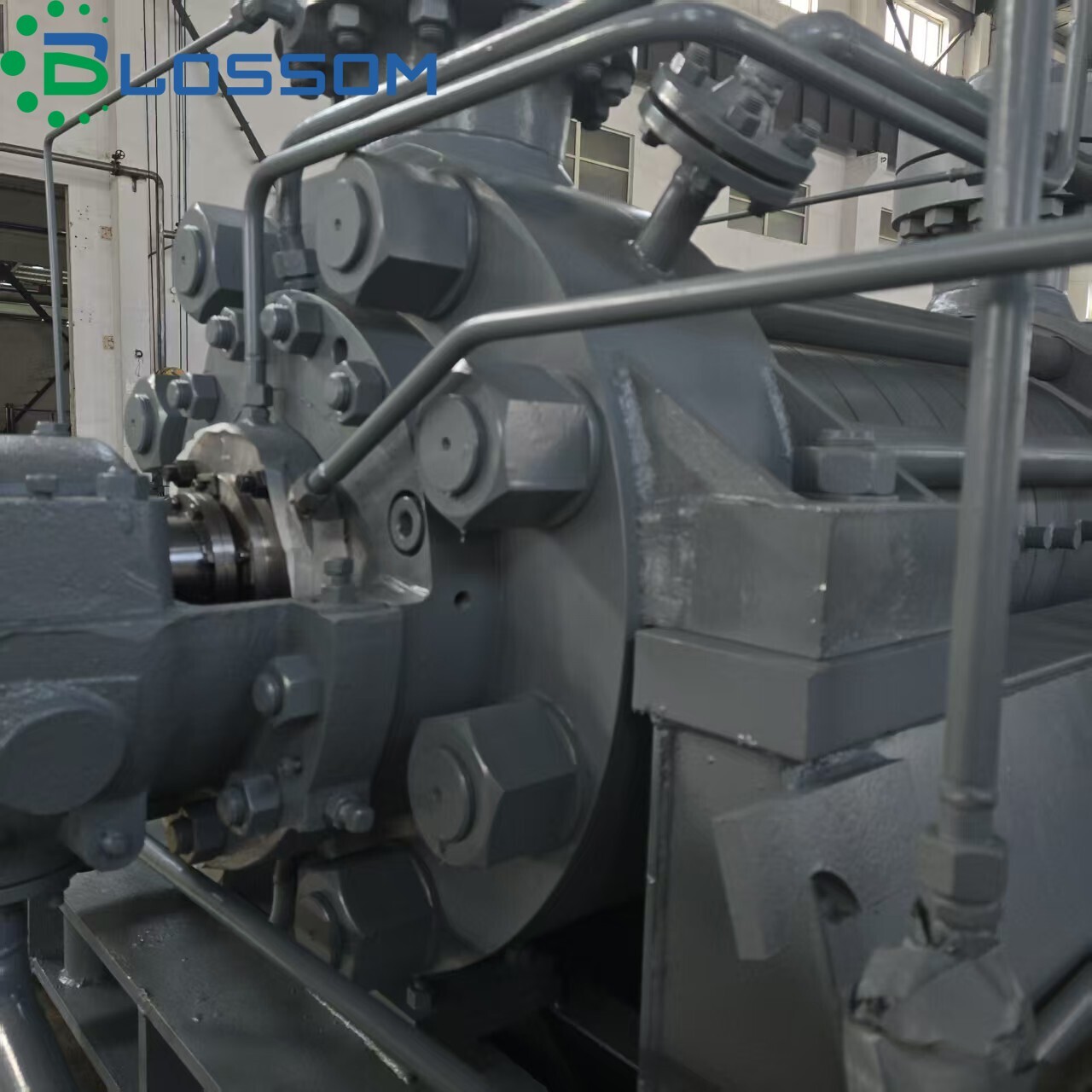 API 610 BB4 PUMP-Shandong BLOSSOM Pump Industry Co., Ltd.