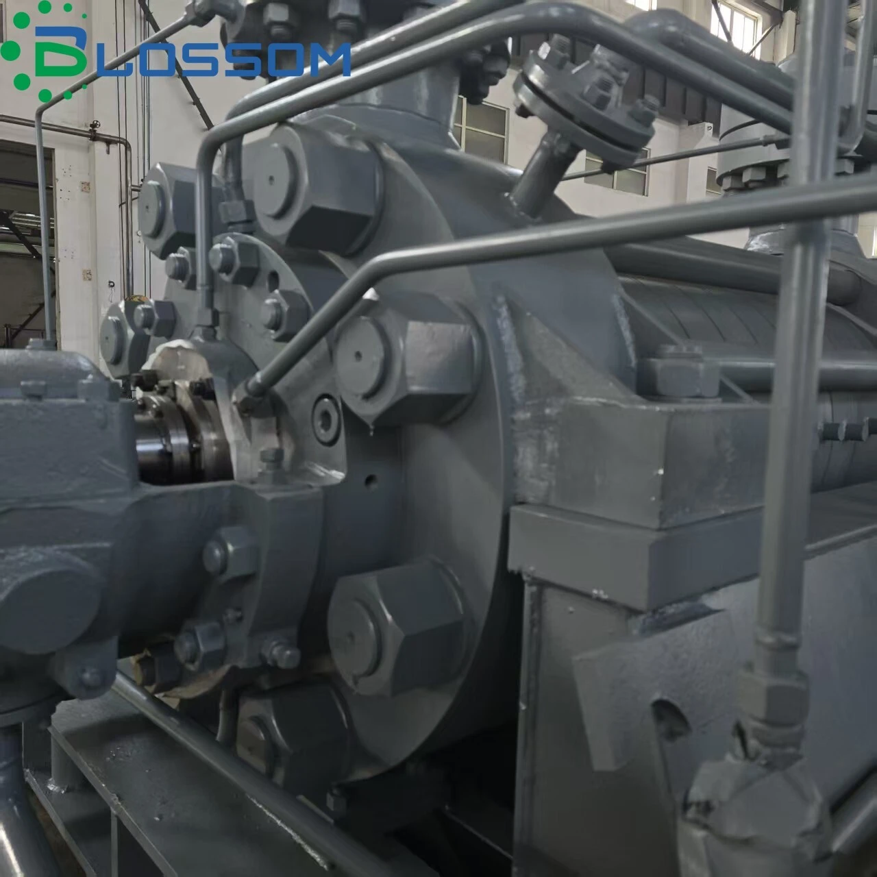 API 610 BB4 PUMP-Shandong BLOSSOM Pump Industry Co., Ltd.
