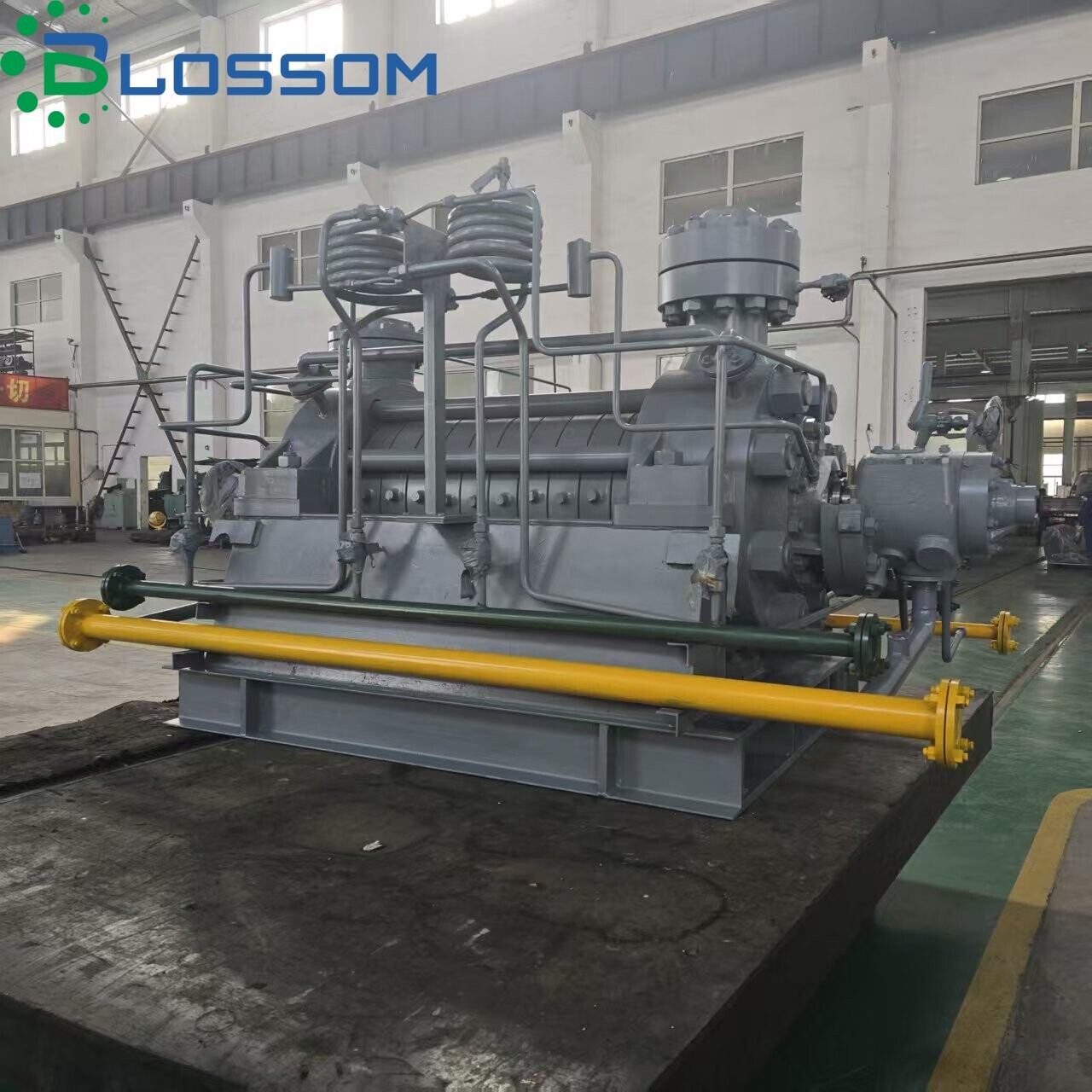 API 610 BB4 PUMP-Shandong BLOSSOM Pump Industry Co., Ltd.