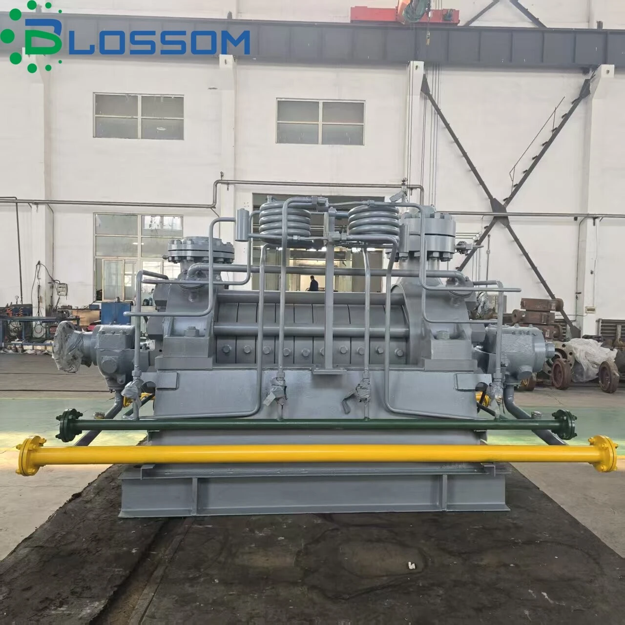 API 610 BB4 PUMP-Shandong BLOSSOM Pump Industry Co., Ltd.