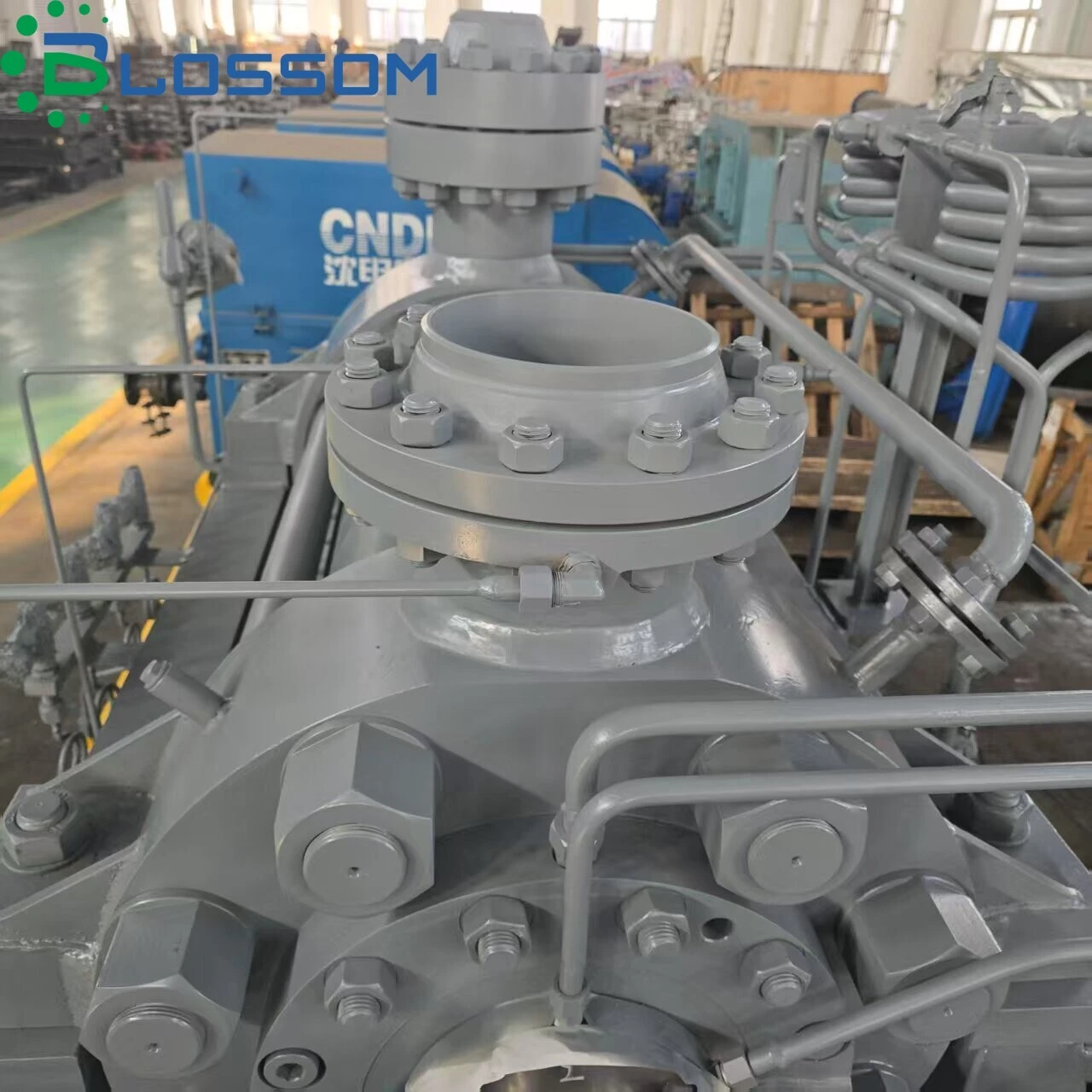 API 610 BB4 PUMP-Shandong BLOSSOM Pump Industry Co., Ltd.
