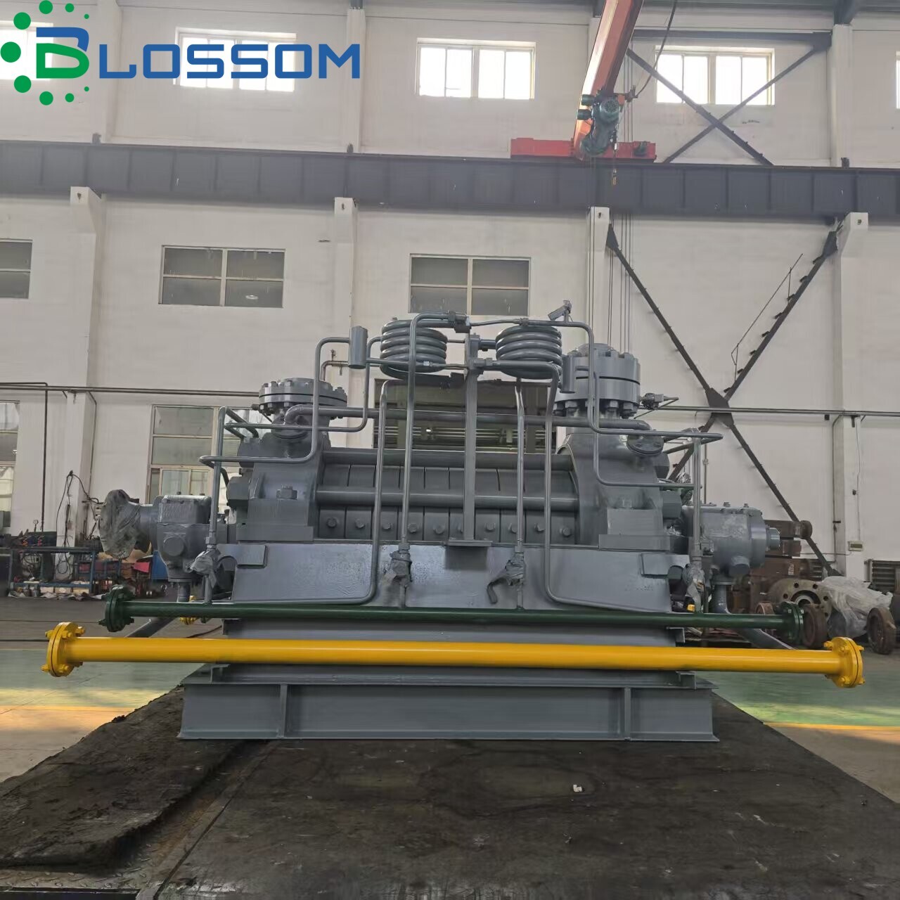 API 610 BB4 PUMP-Shandong BLOSSOM Pump Industry Co., Ltd.