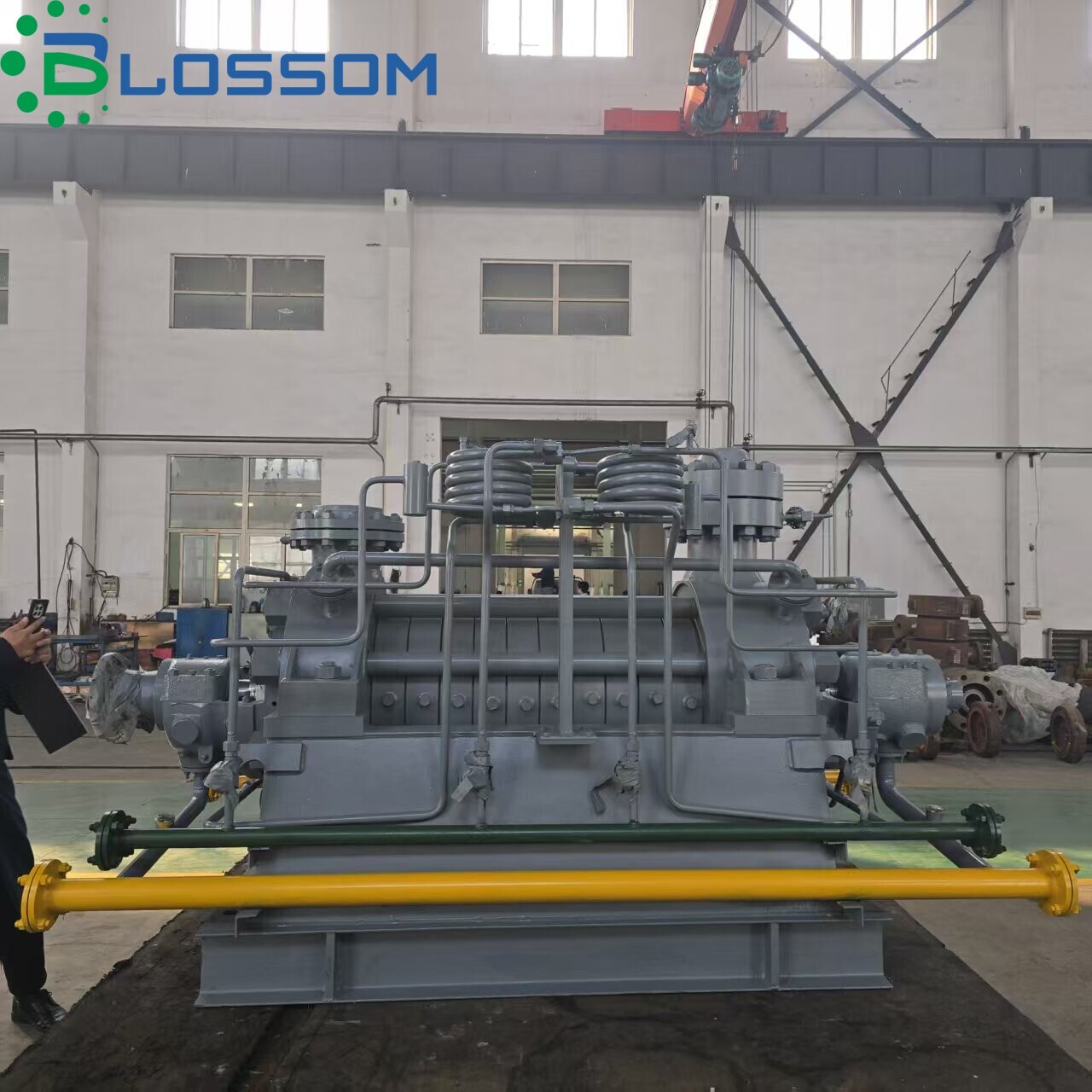 API 610 BB4 PUMP-Shandong BLOSSOM Pump Industry Co., Ltd.
