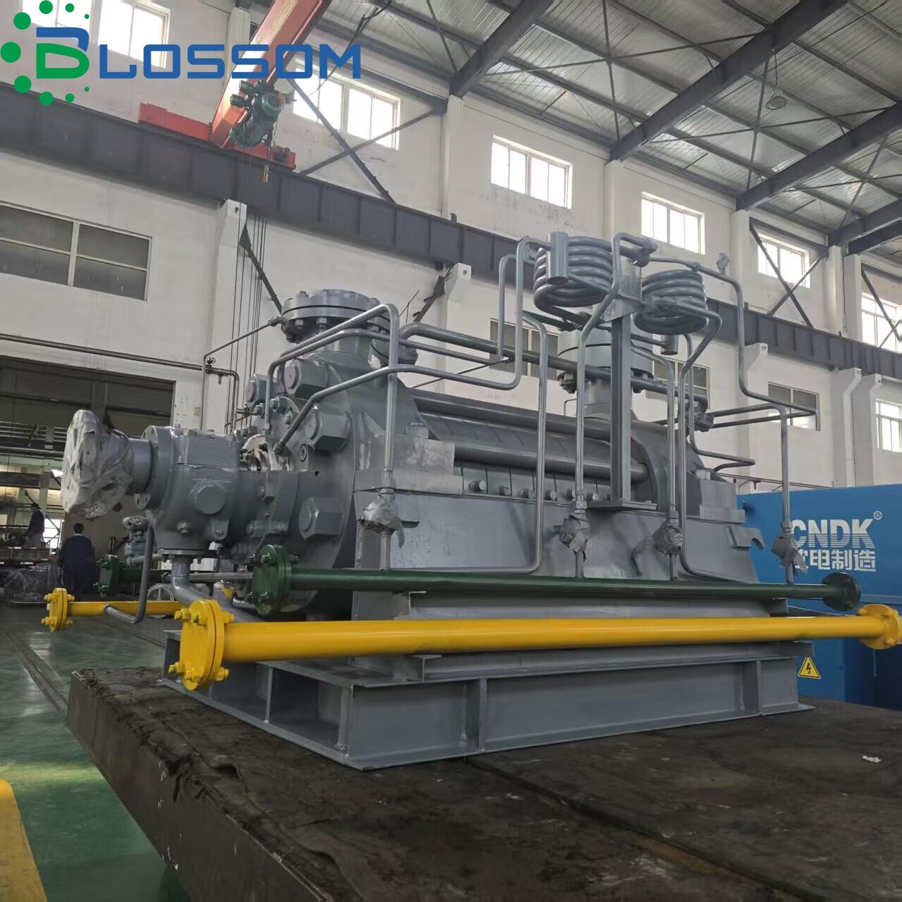 API 610 BB4 PUMP-Shandong BLOSSOM Pump Industry Co., Ltd.