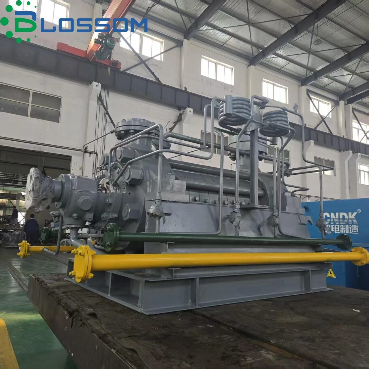 API 610 BB4 PUMP-Shandong BLOSSOM Pump Industry Co., Ltd.