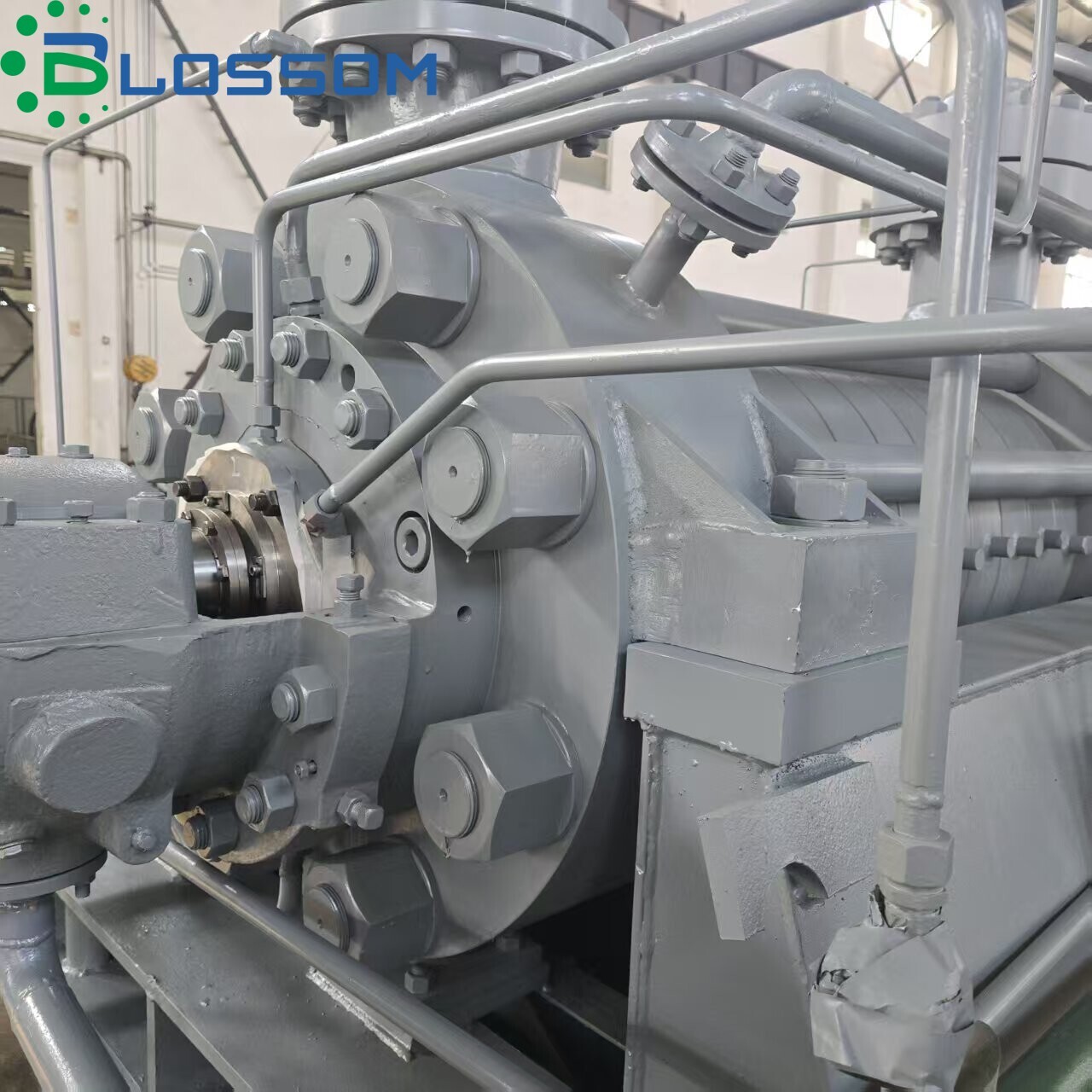 API 610 BB4 PUMP-Shandong BLOSSOM Pump Industry Co., Ltd.