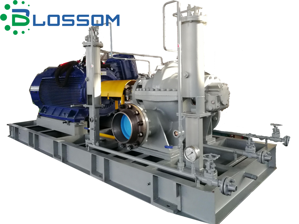 API 610 BB5 PUMP-Shandong BLOSSOM Pump Industry Co., Ltd.