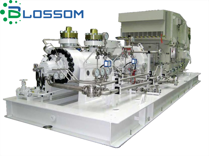 API 610 BB4 PUMP-Shandong BLOSSOM Pump Industry Co., Ltd.