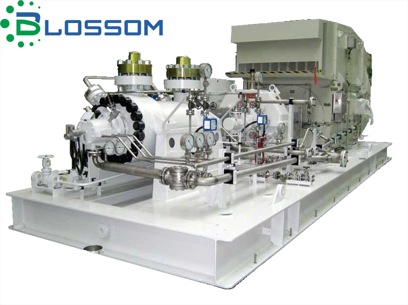 API 610 BB5 PUMP-Shandong BLOSSOM Pump Industry Co., Ltd.