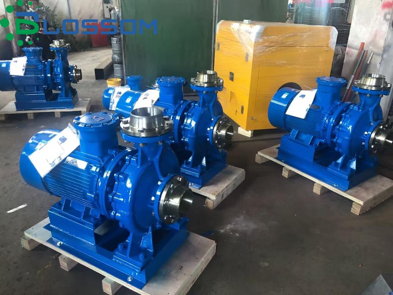 API 610 BB4 PUMP-Shandong BLOSSOM Pump Industry Co., Ltd.