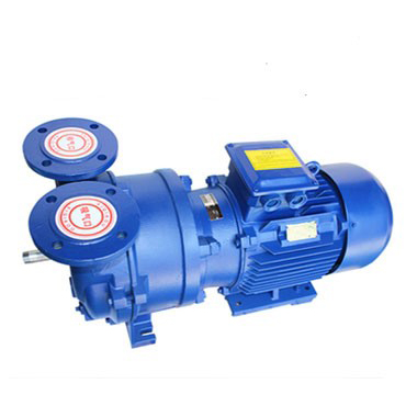 2BV series liquid ring vacuum pump