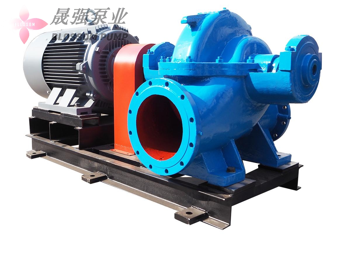 API 610 BB4 PUMP-Shandong BLOSSOM Pump Industry Co., Ltd.