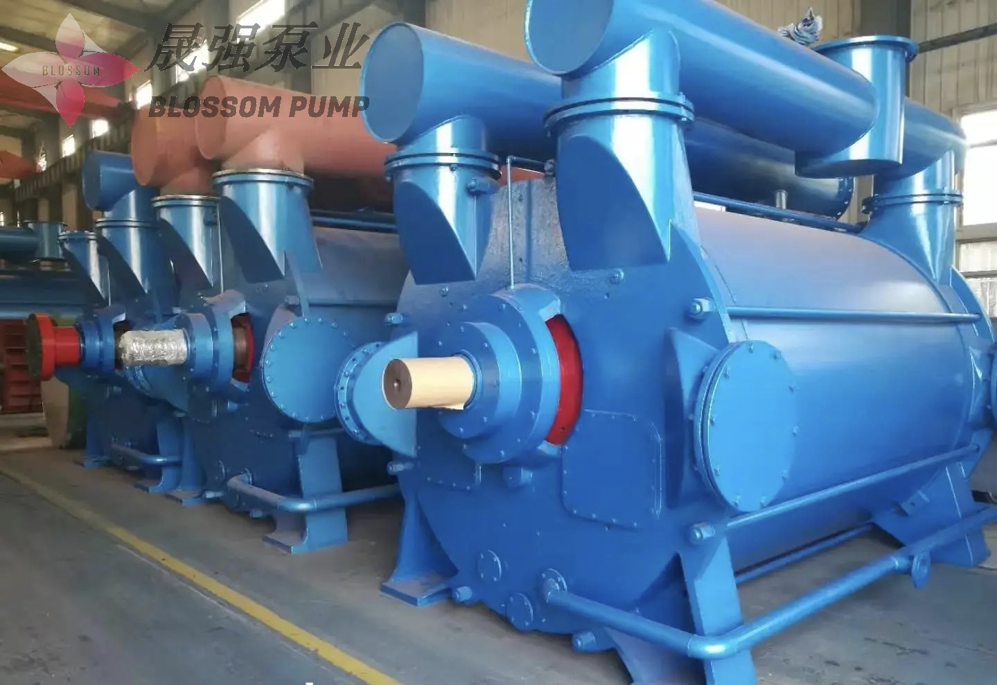 2BE series water ring vacuum pump and compressor