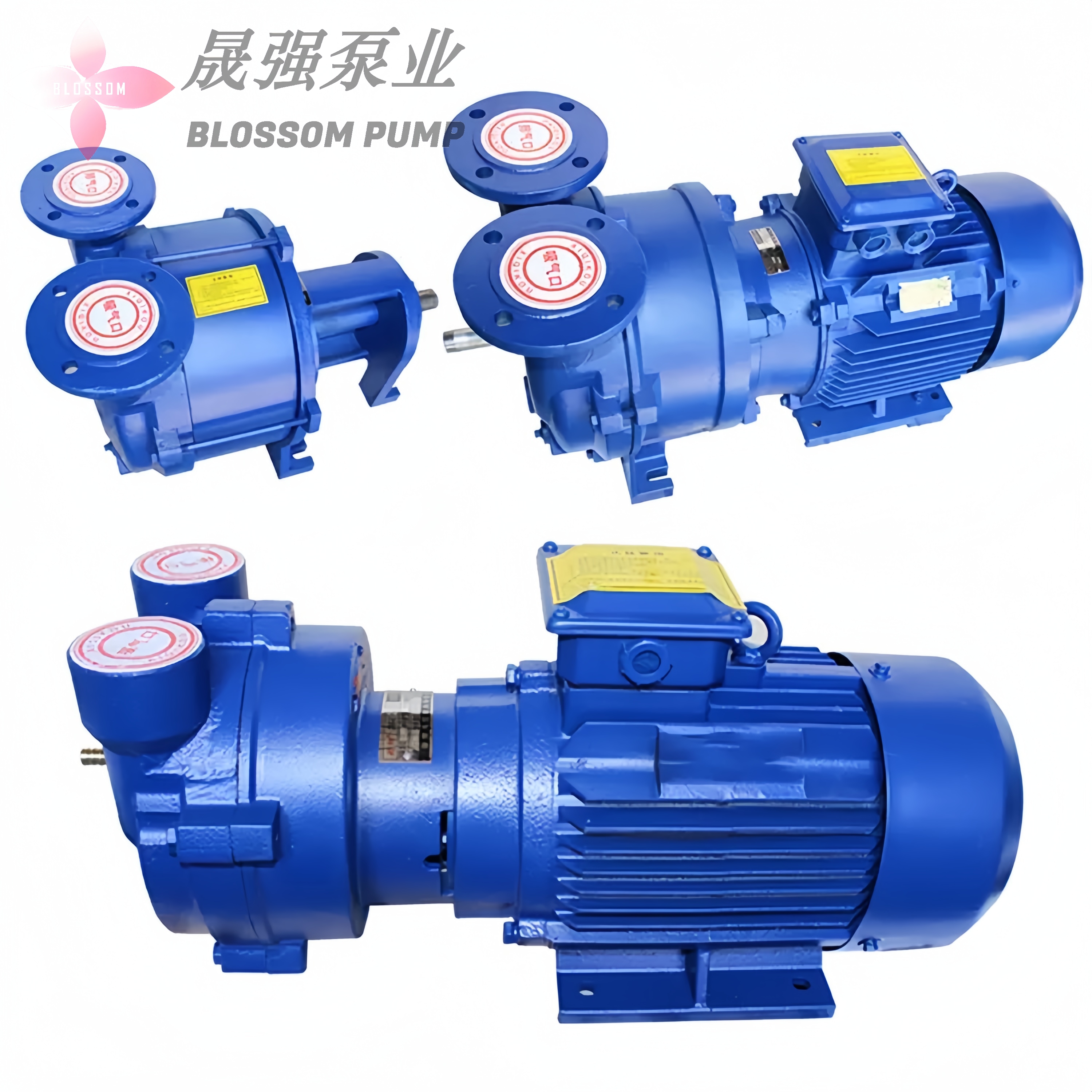 2BV series liquid ring vacuum pump